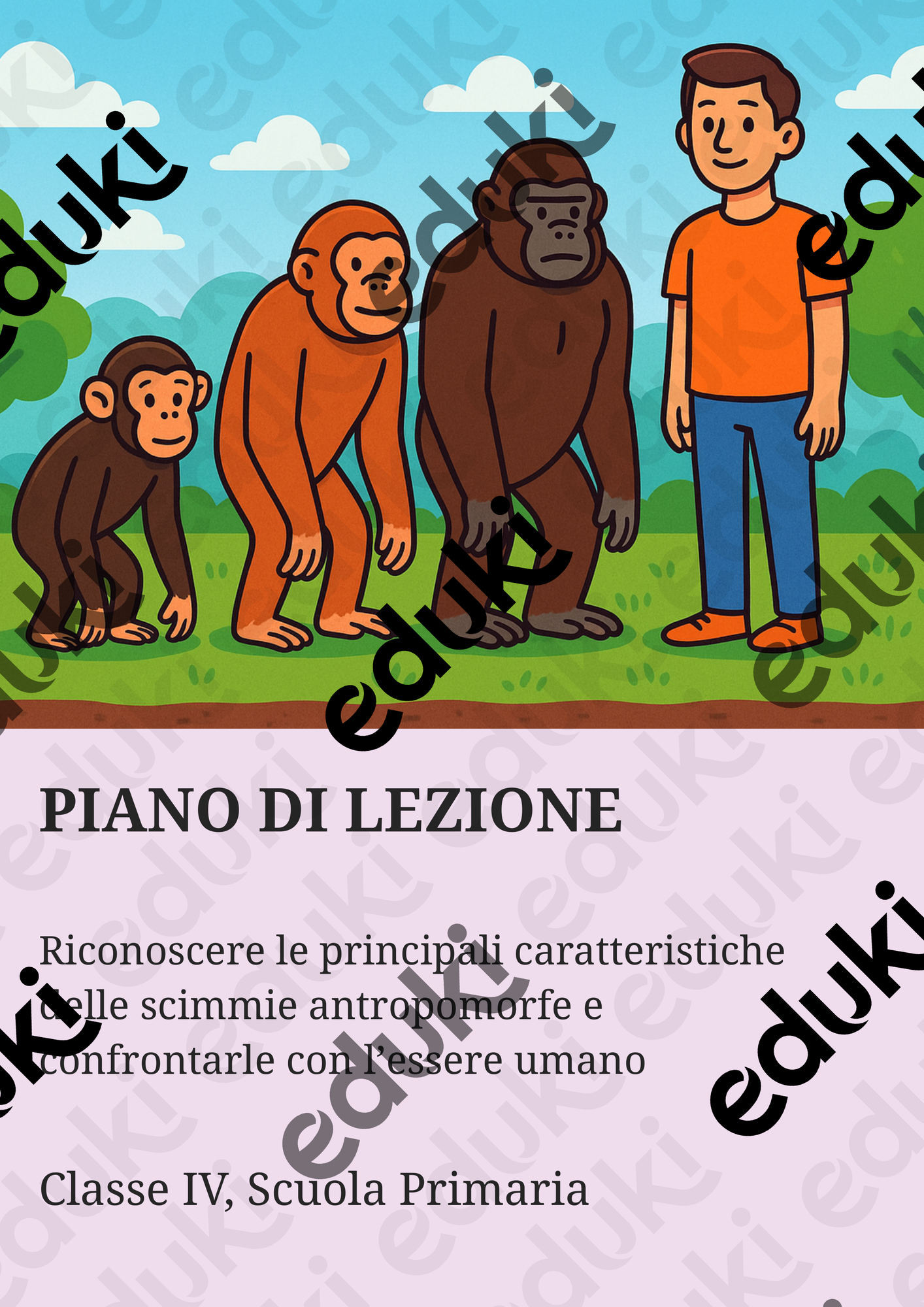 Riconoscere le principali caratteristiche delle scimmie antropomorfe e ...
