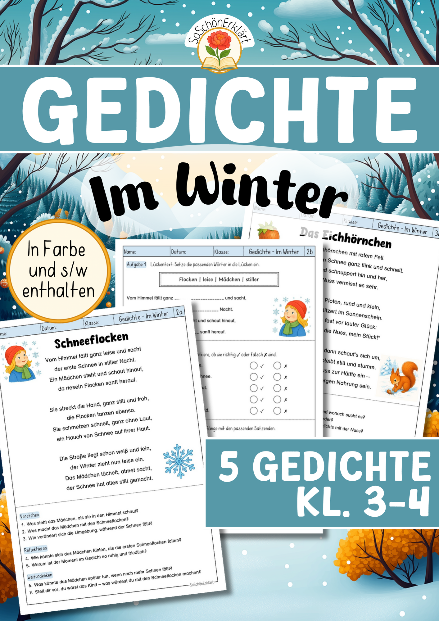Gedichte (Leseverstehen) - Im Winter (Klasse 3-4) – Unterrichtsmaterial ...