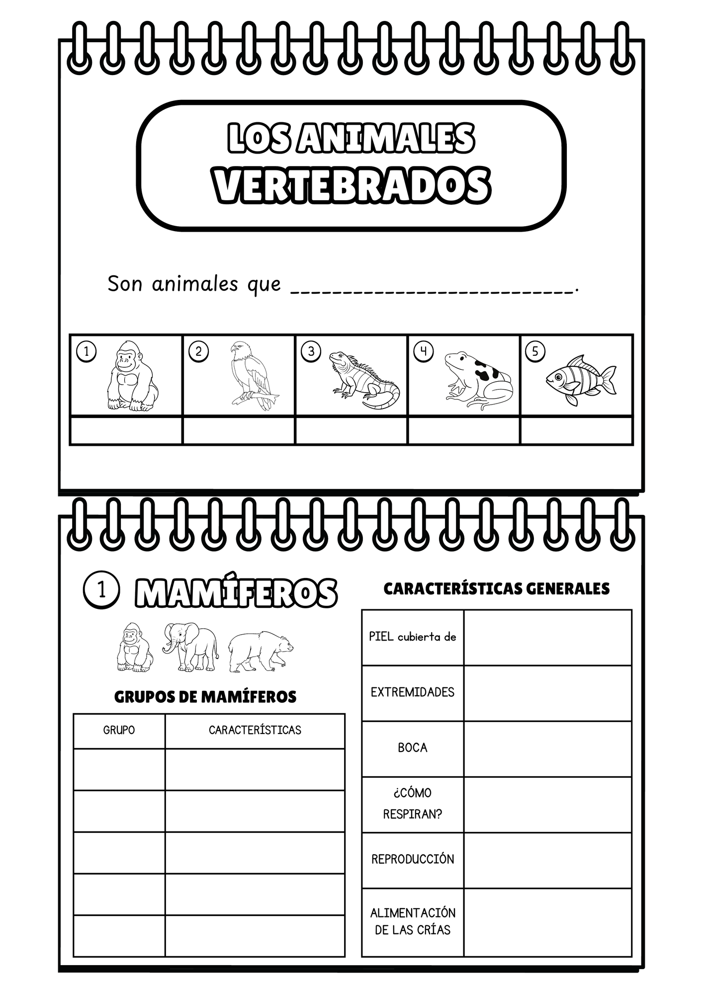 CUADERNO GRUPOS DE ANIMALES VERTEBRADOS - material de la siguiente ...