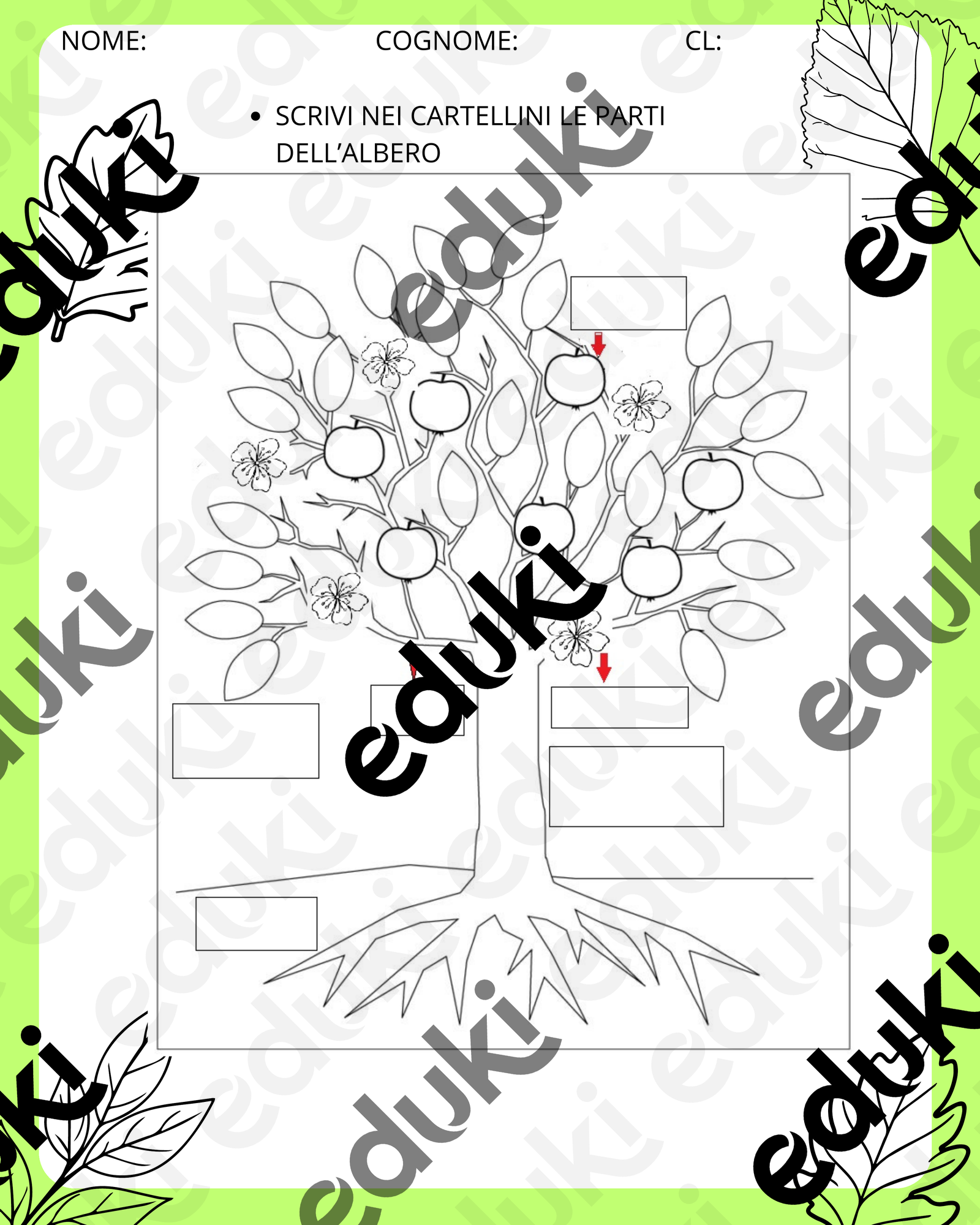 VERIFICA DI SCIENZE SU ANIMALI E PIANTE (2) - Materiale didattico per ...