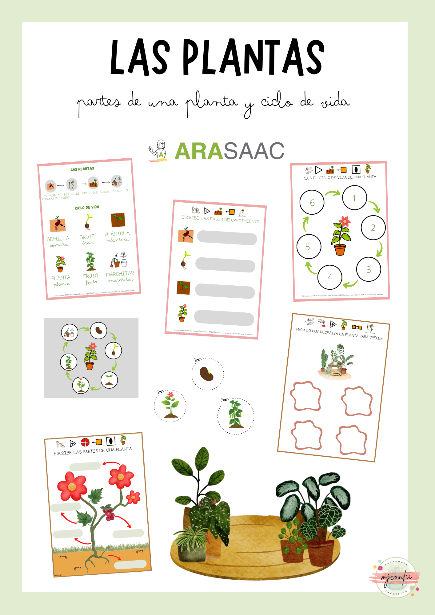 LAS PLANTAS: CICLO DE VIDA Y PARTES DE UNA PLANTA - material didáctico ...