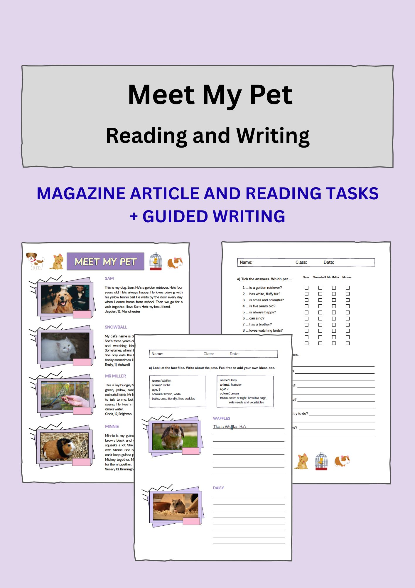 Meet My Pet: Reading and Writing (English) – Unterrichtsmaterial im ...
