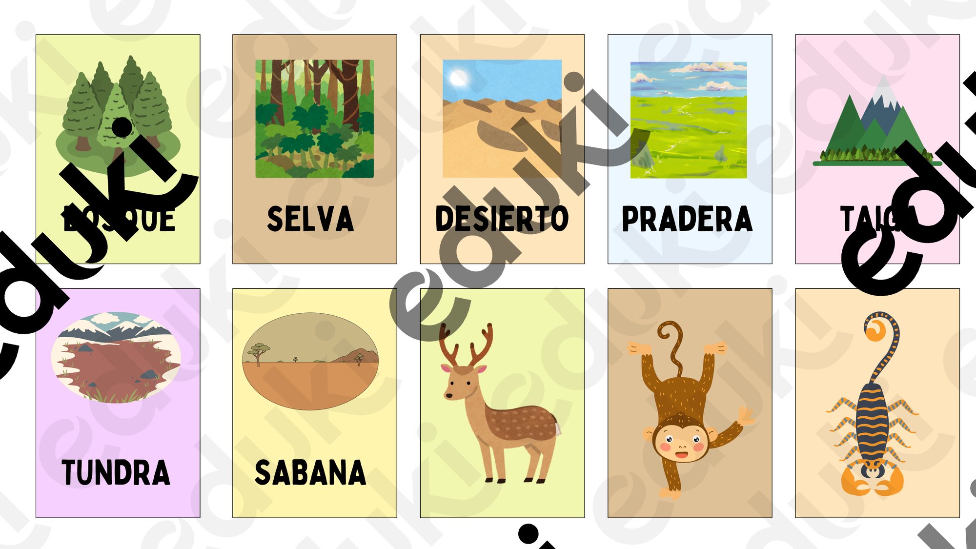 Memory - Ecosistemas - material de la siguiente asignatura Ciencias de ...