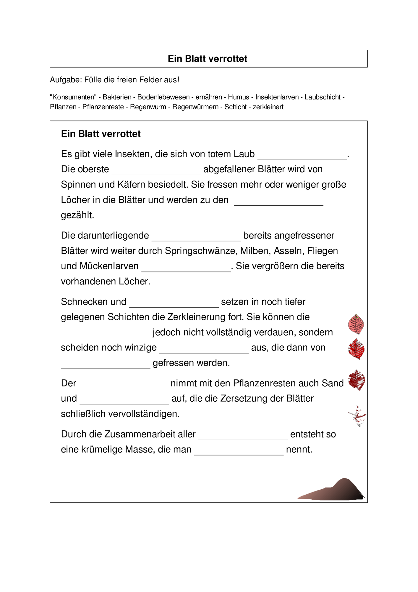 Ein Blatt verottet – Unterrichtsmaterial im Fach Biologie