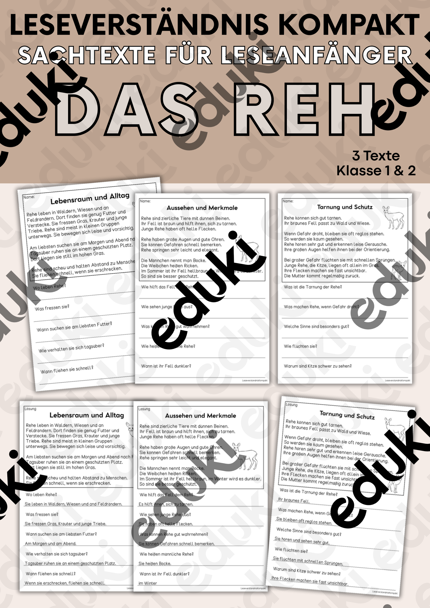 Das Reh - Sachtexte für Erstleser | Leseverständnis Klasse 1 & 2 ...