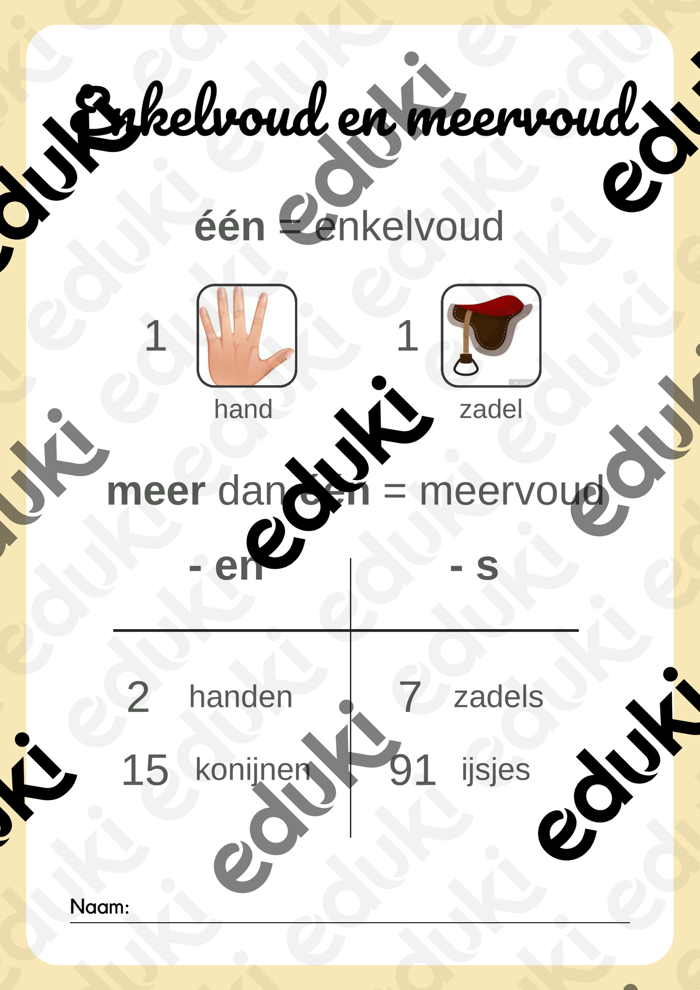 Enkelvoud en meervoud bundel - Lesmateriaal in het vak Nederlands