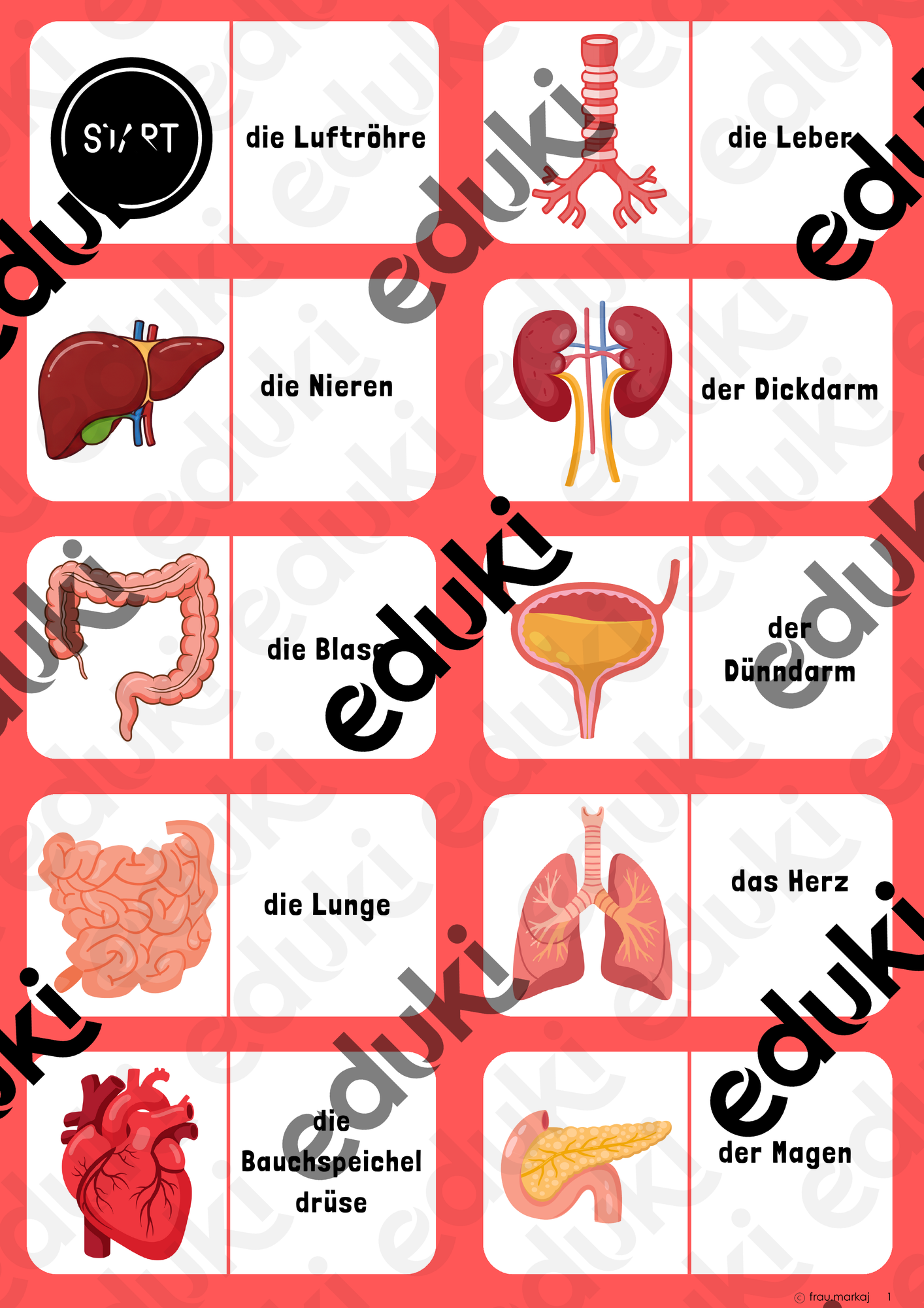 Organe Dominospiel – Unterrichtsmaterial im Fach Biologie
