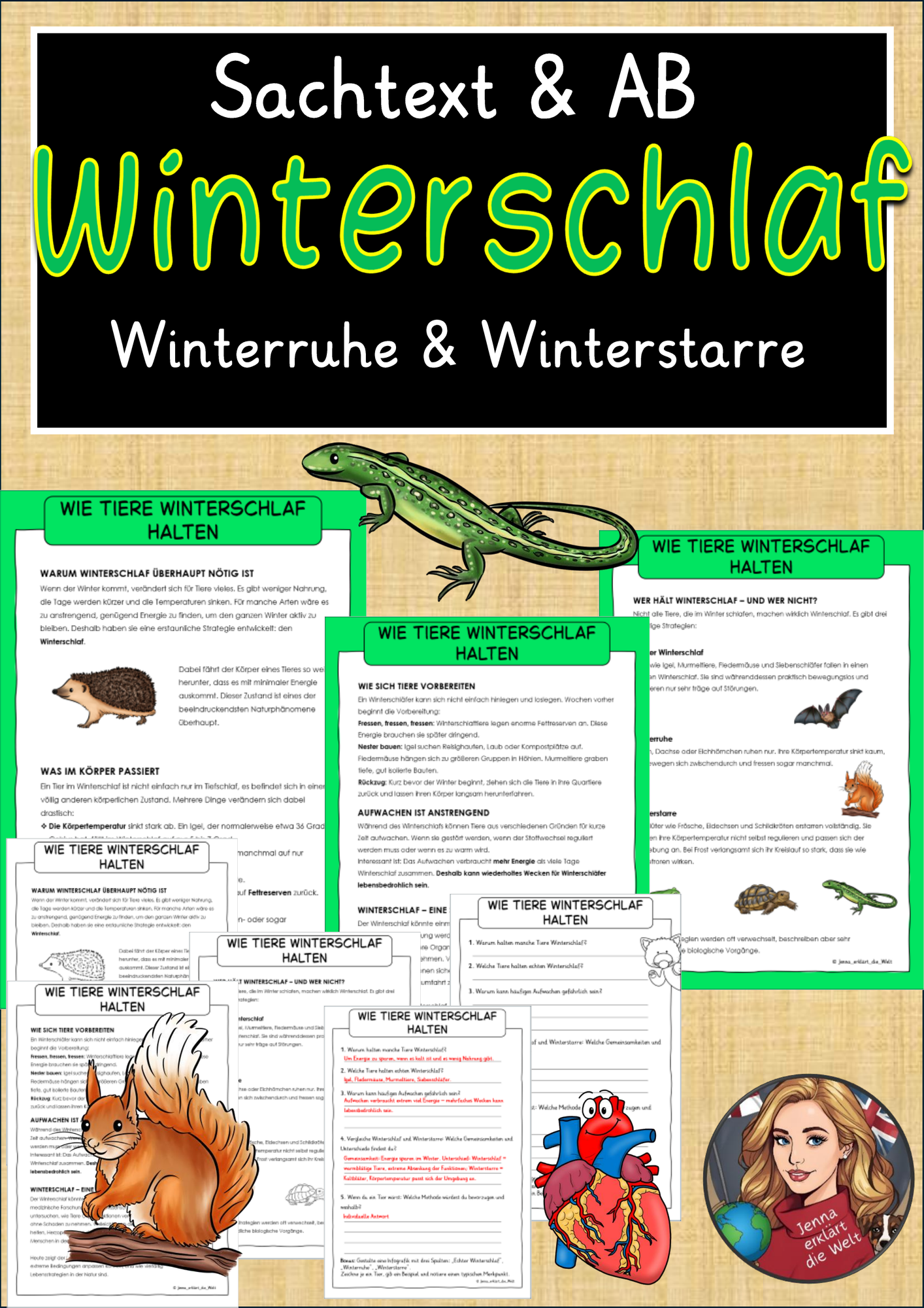 Winterschlaf, Winterruhe & Winterstarre - Tiere im Winter - Sachtext ...