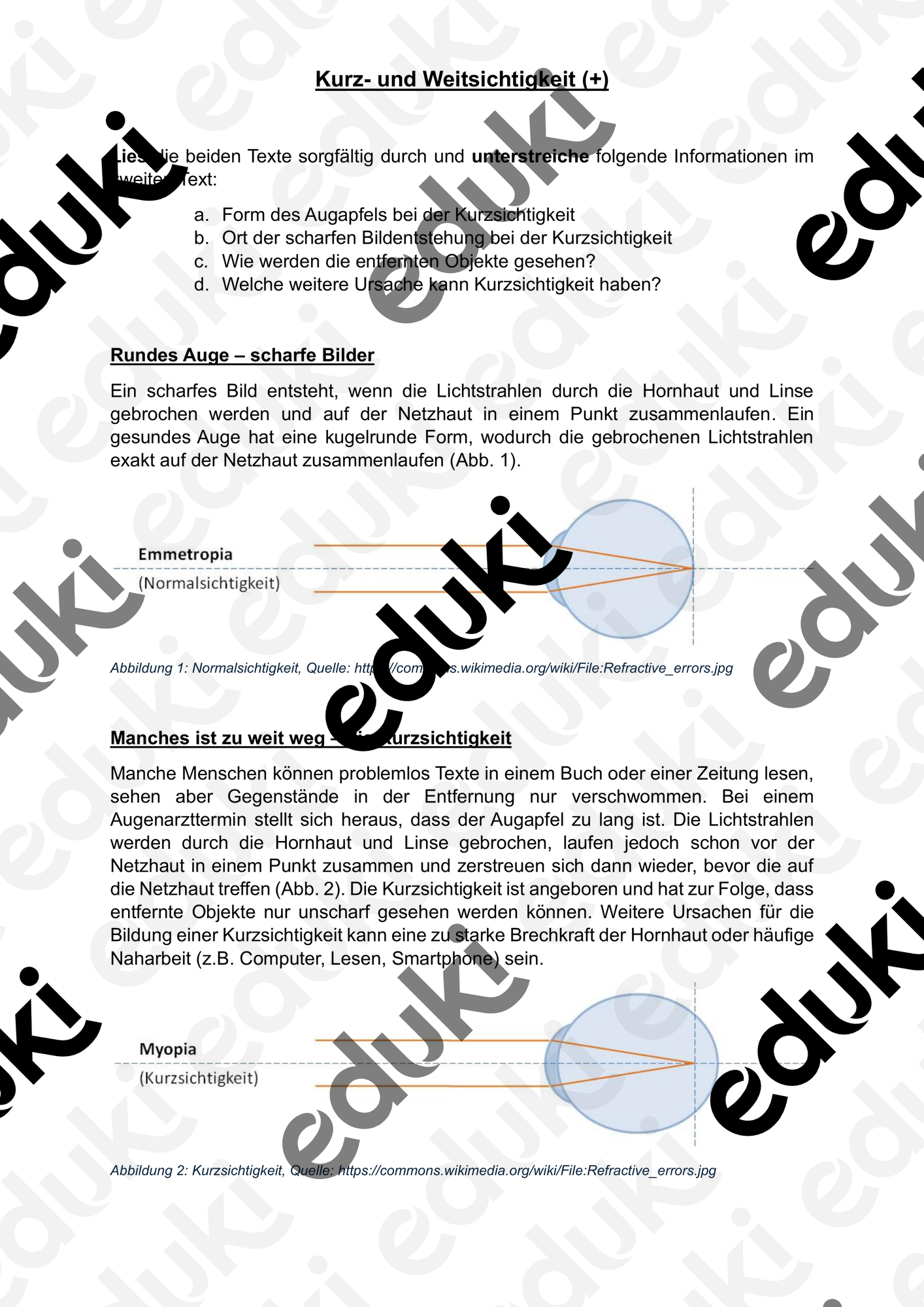 Fehlsichtigkeit am Beispiel der Kurz- und Weitsichtigkeit ...