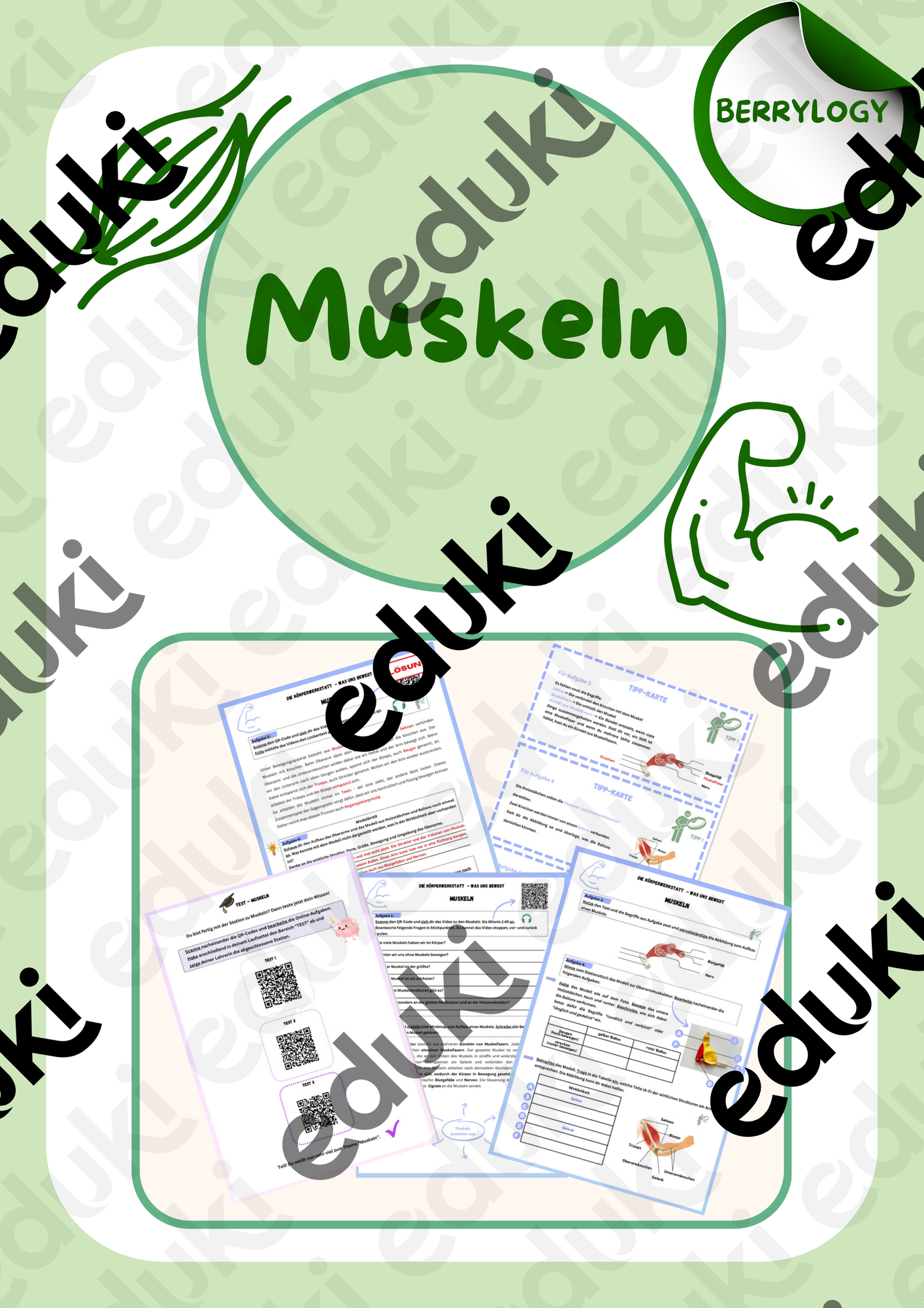 Muskeln - Bewegungsapparat - menschlicher Körper – Unterrichtsmaterial ...