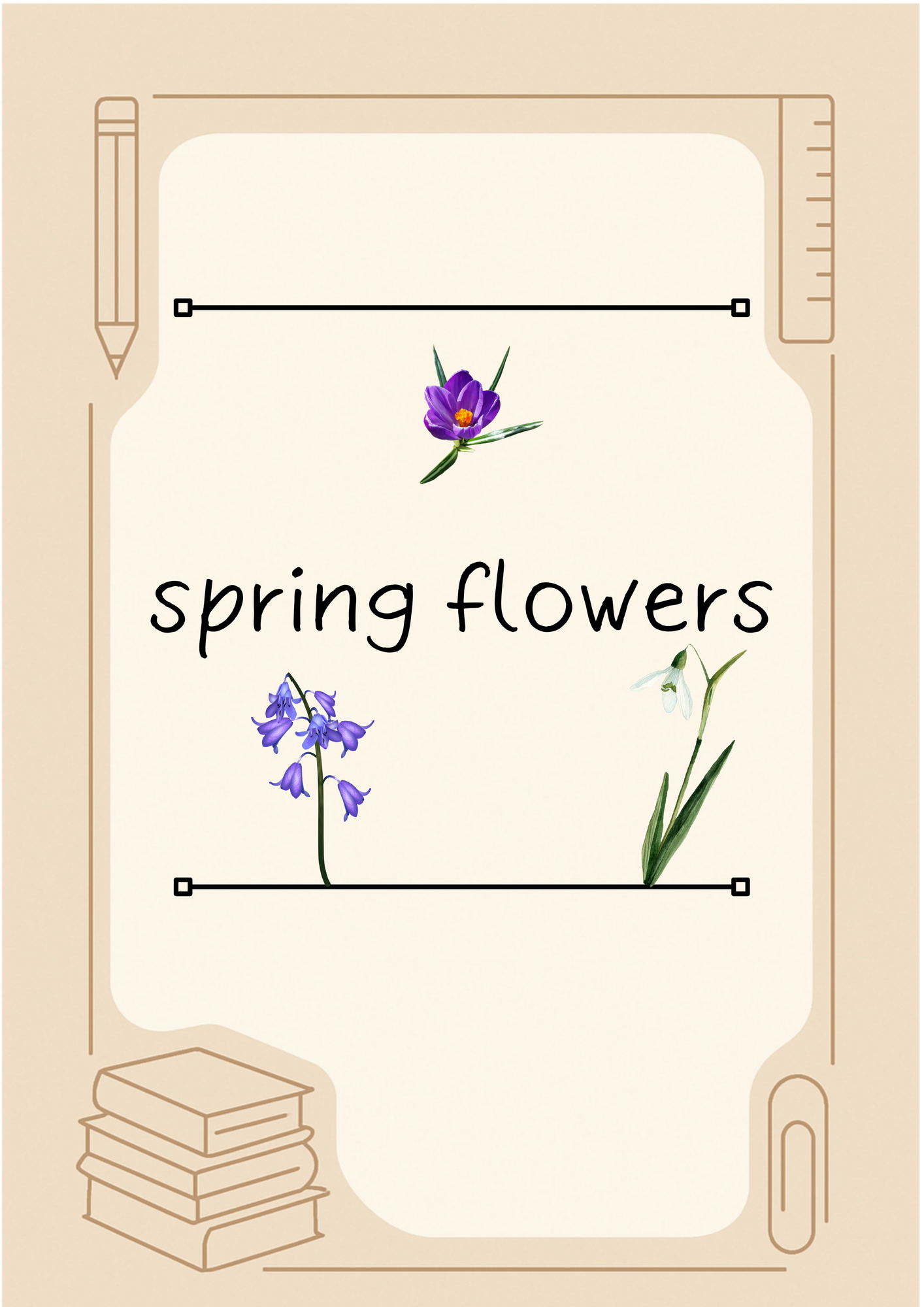 Flashcards "spring flowers" – Unterrichtsmaterial im Fach Englisch