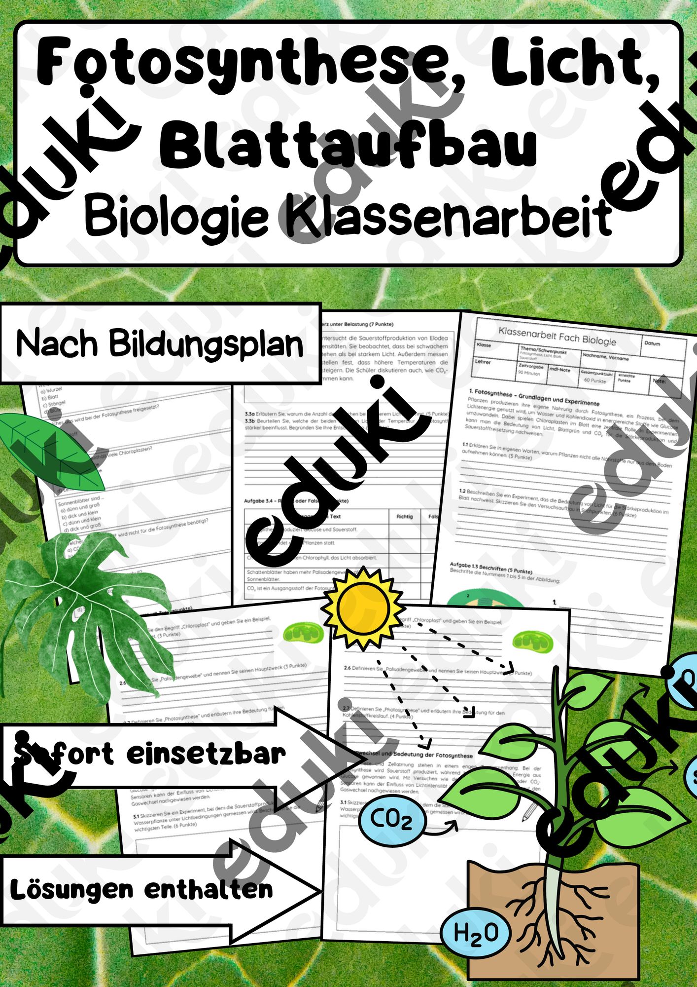 Fotosynthese, Licht, Blattaufbau Klassenarbeit Klasse 7 ...