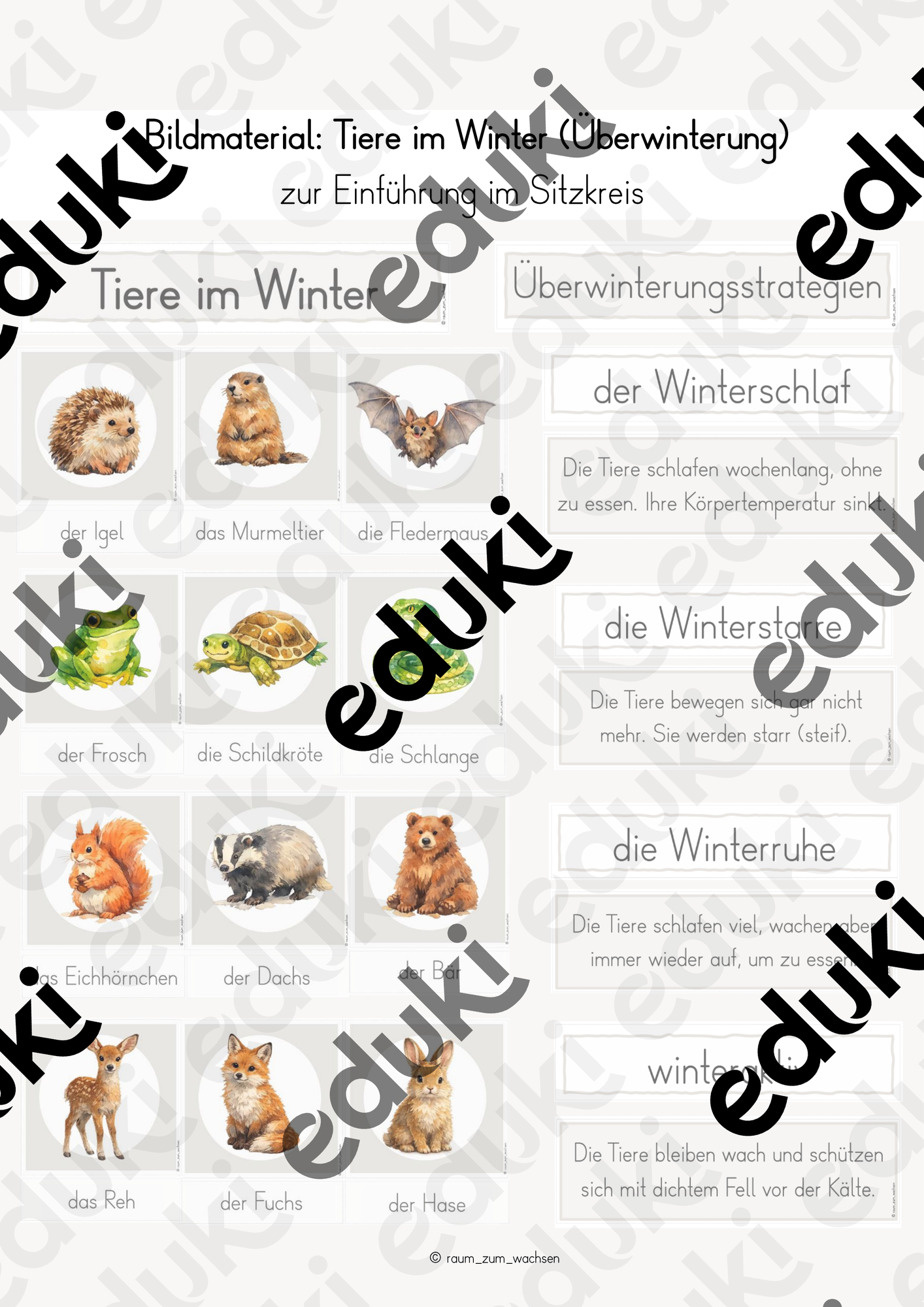 Tiere im Winter (Überwinterungsstrategien): Bildkarten ...