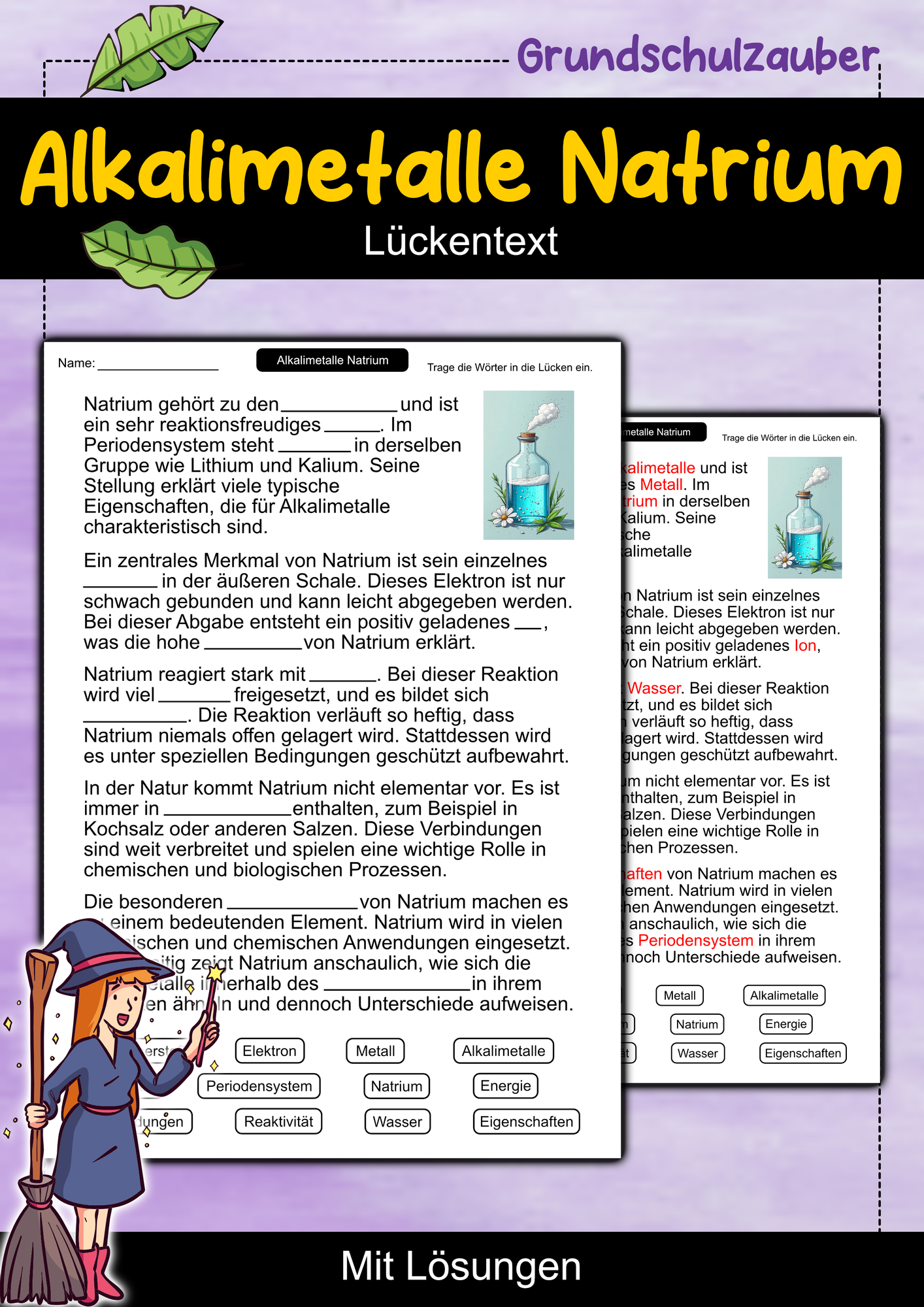 Alkalimetalle – Natrium | Lückentext | Chemie | Periodensystem ...