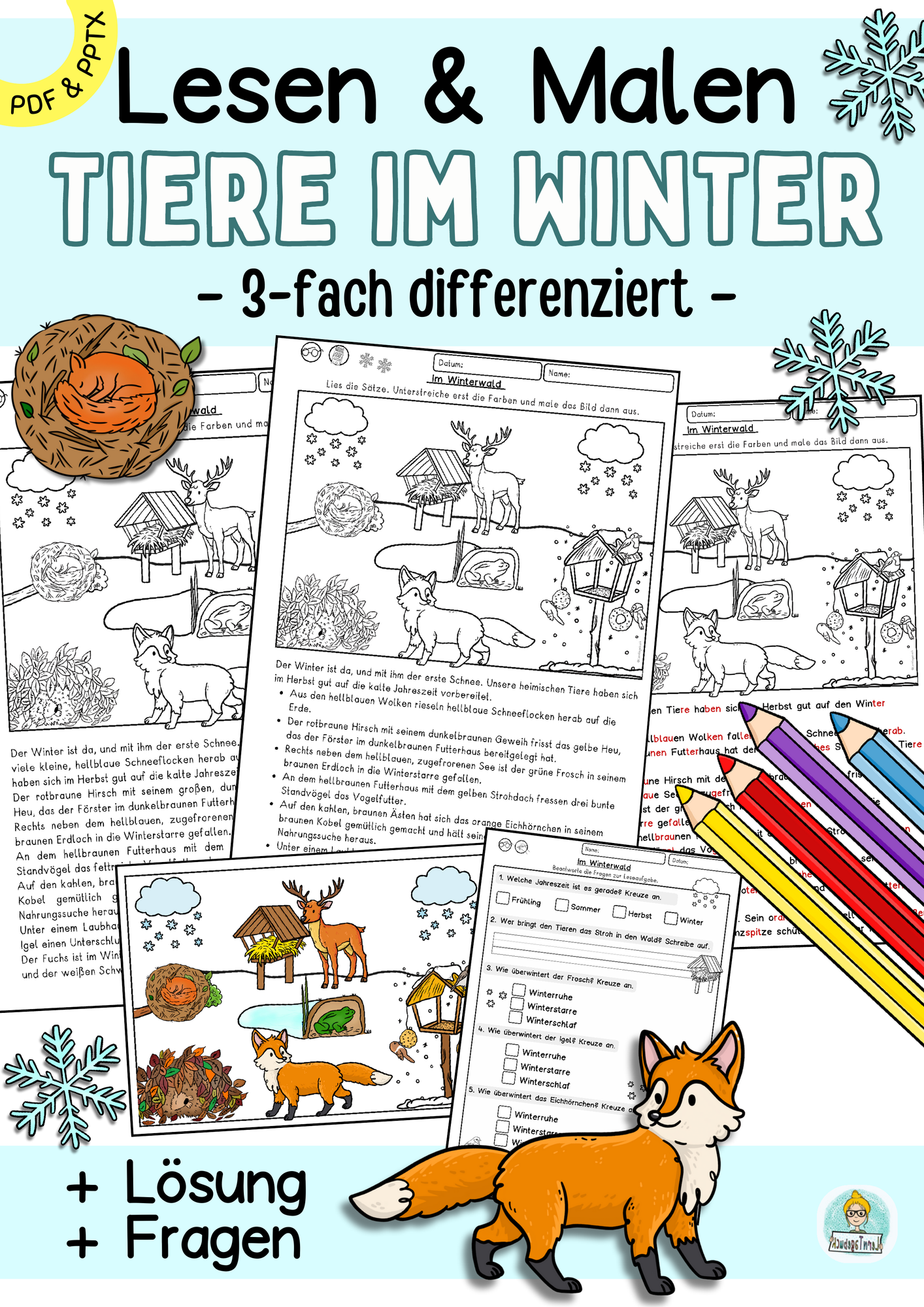 Lesen Verstehen Malen Winter, Klasse 2, 3, 4, DaZ, differenzierter ...