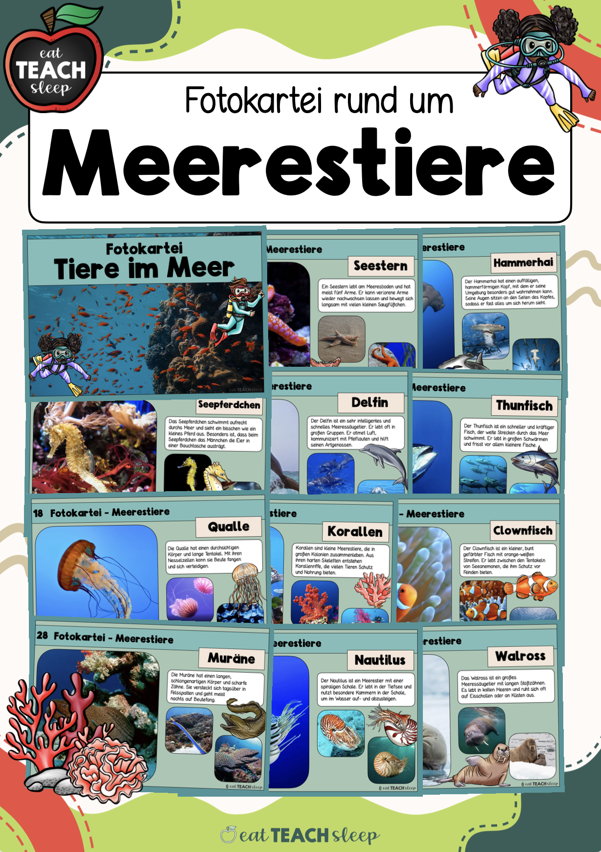 Meerestiere / Tiere im Meer - Fotokartei – Unterrichtsmaterial im Fach ...