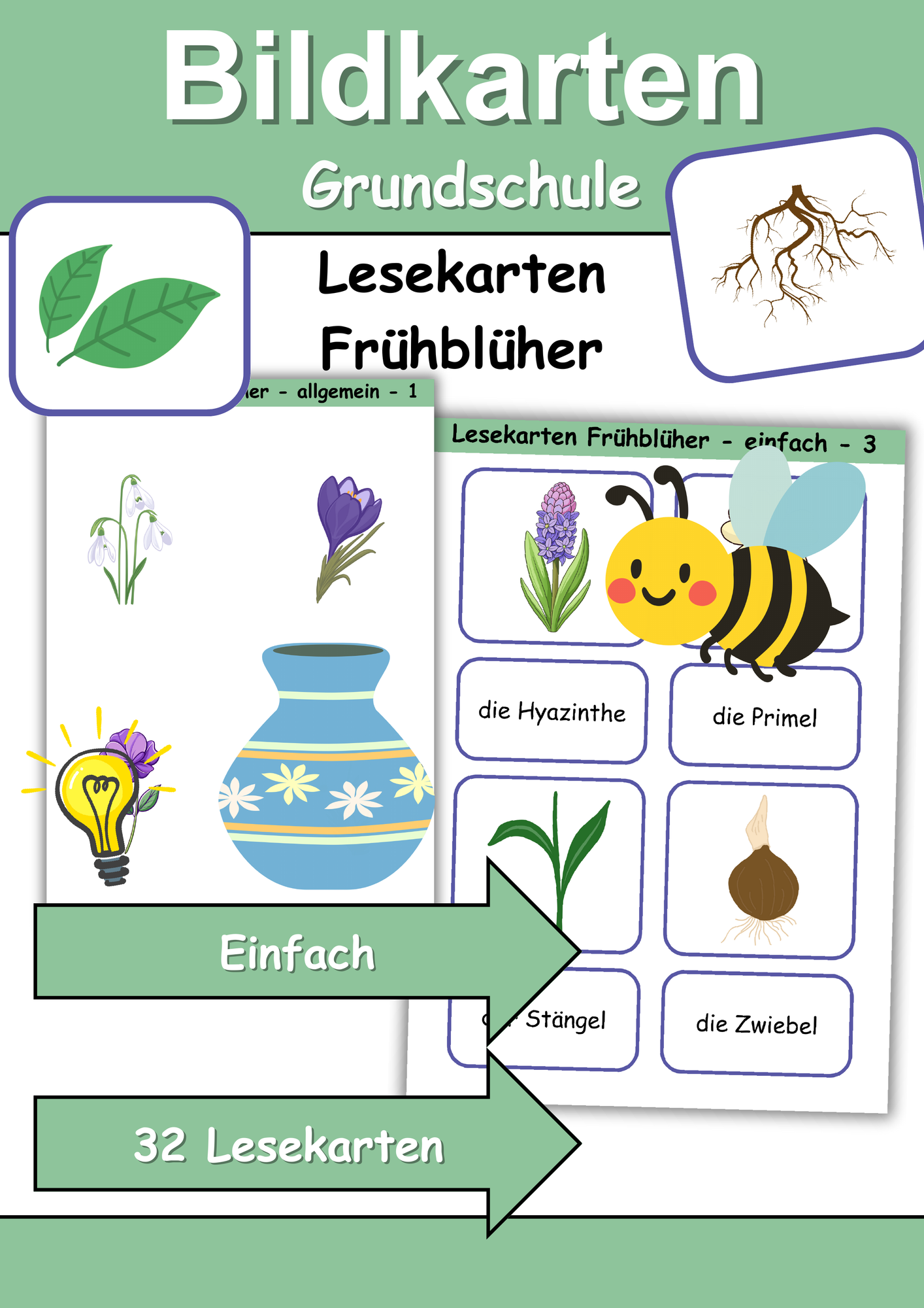 Lesekarten/Bildkarten Frühblüher einfach - DaZ/DaF / Deutsch ...