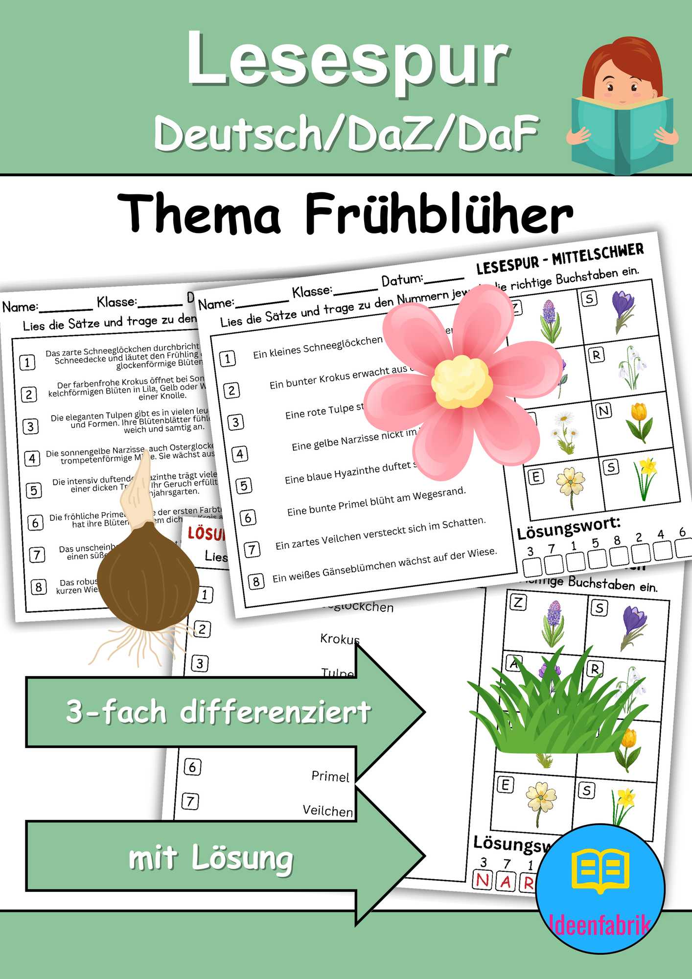 Lesespur / Leserätsel: Frühblüher - DaZ/DaF / Deutsch ...
