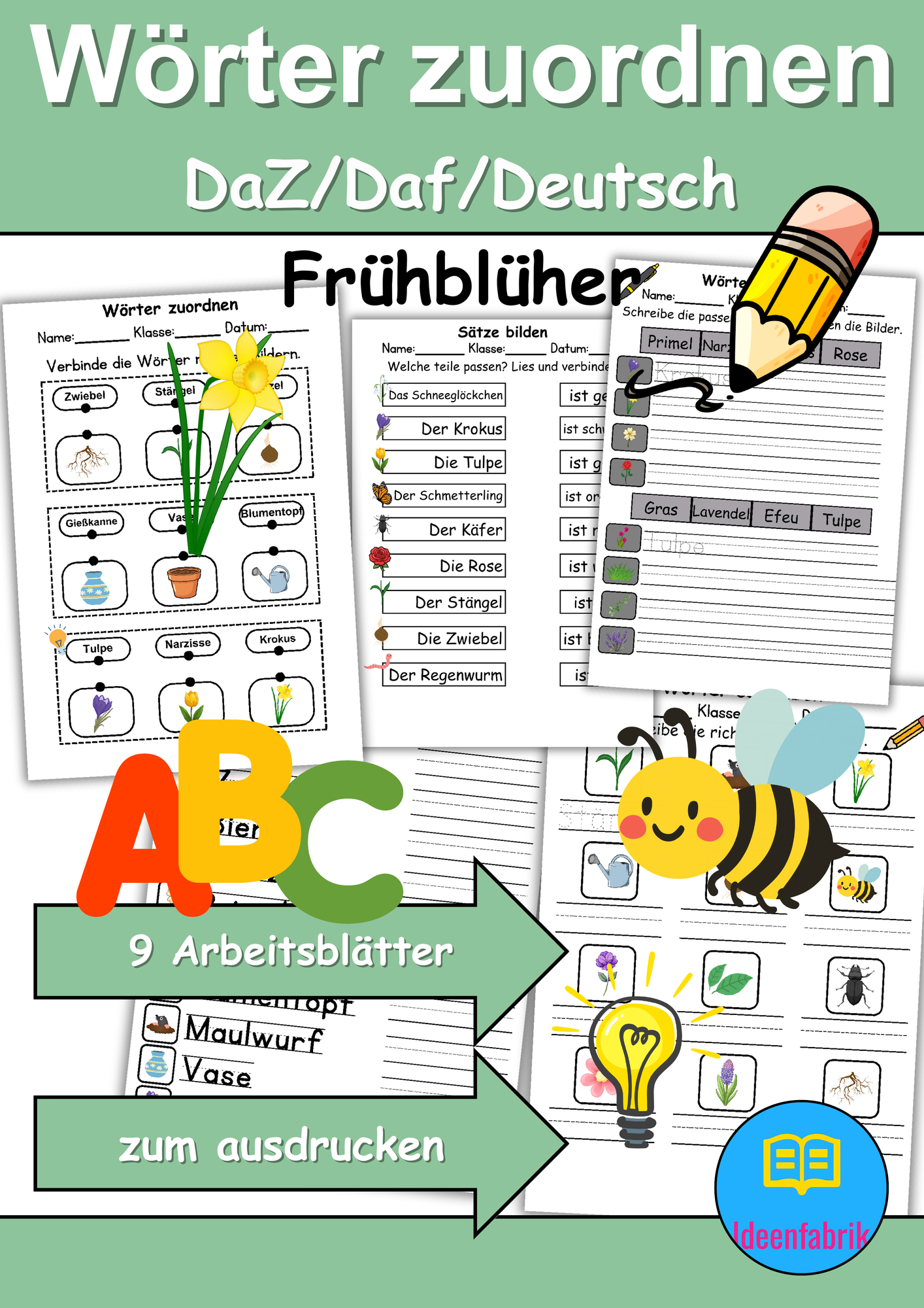 Wörter zuordnen: Frühblüher - DaZ/DaF / Deutsch (Wortschatz ...