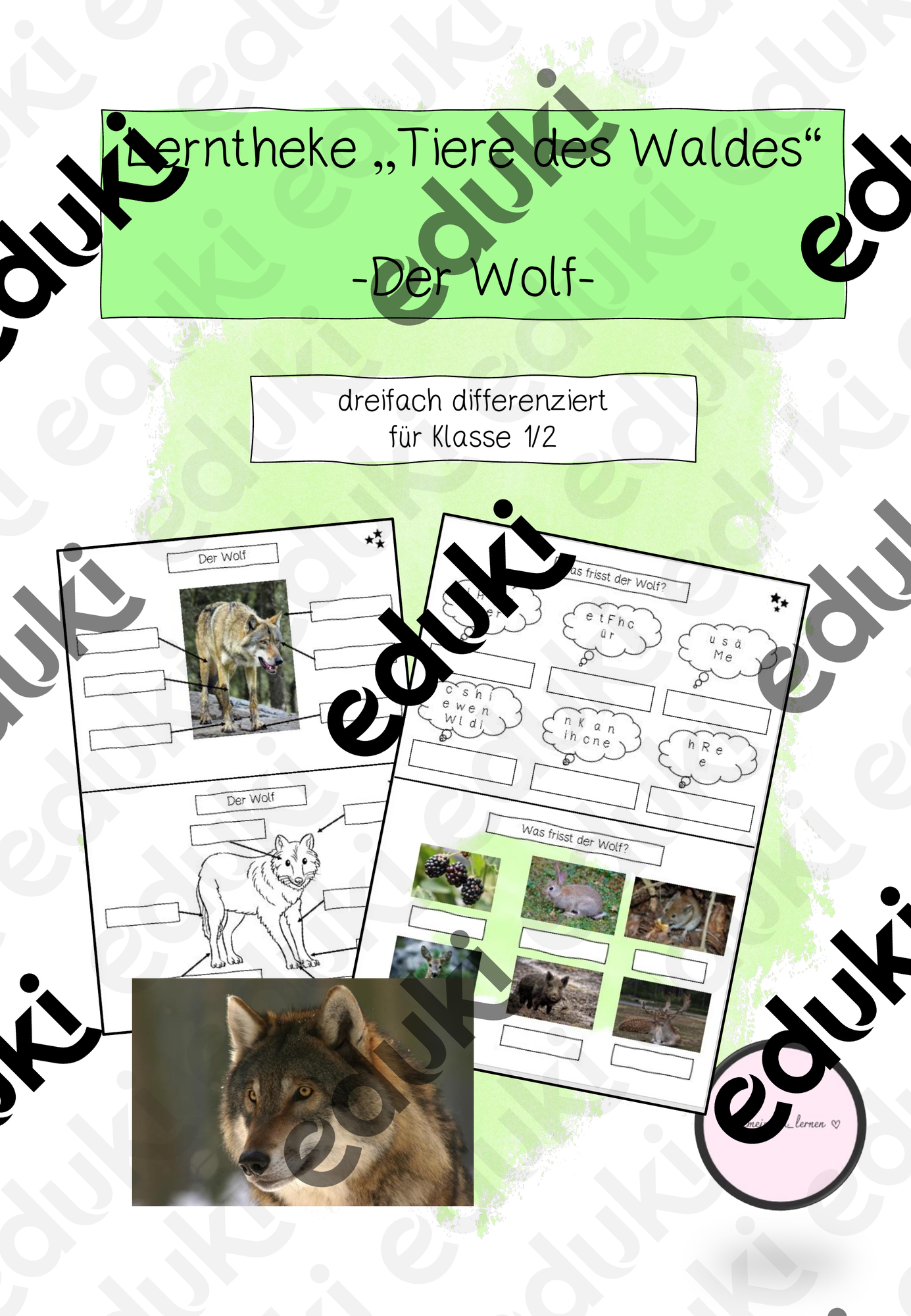 Lerntheke: Der Wolf (Tiere des Waldes) – Unterrichtsmaterial im Fach ...