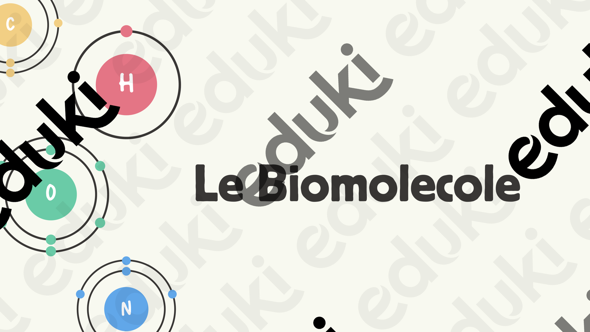 Le biomolecole - Materiale didattico per la materia Biologia