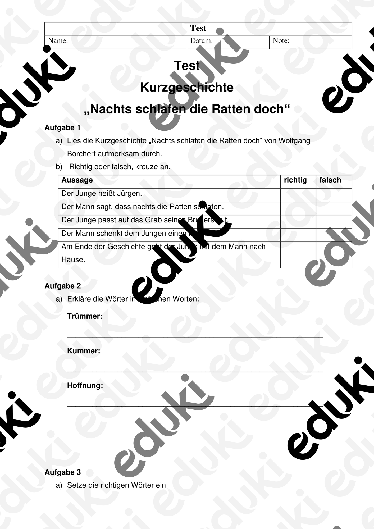Test Kurzgeschichte "Nachts schlafen die Ratten doch ...