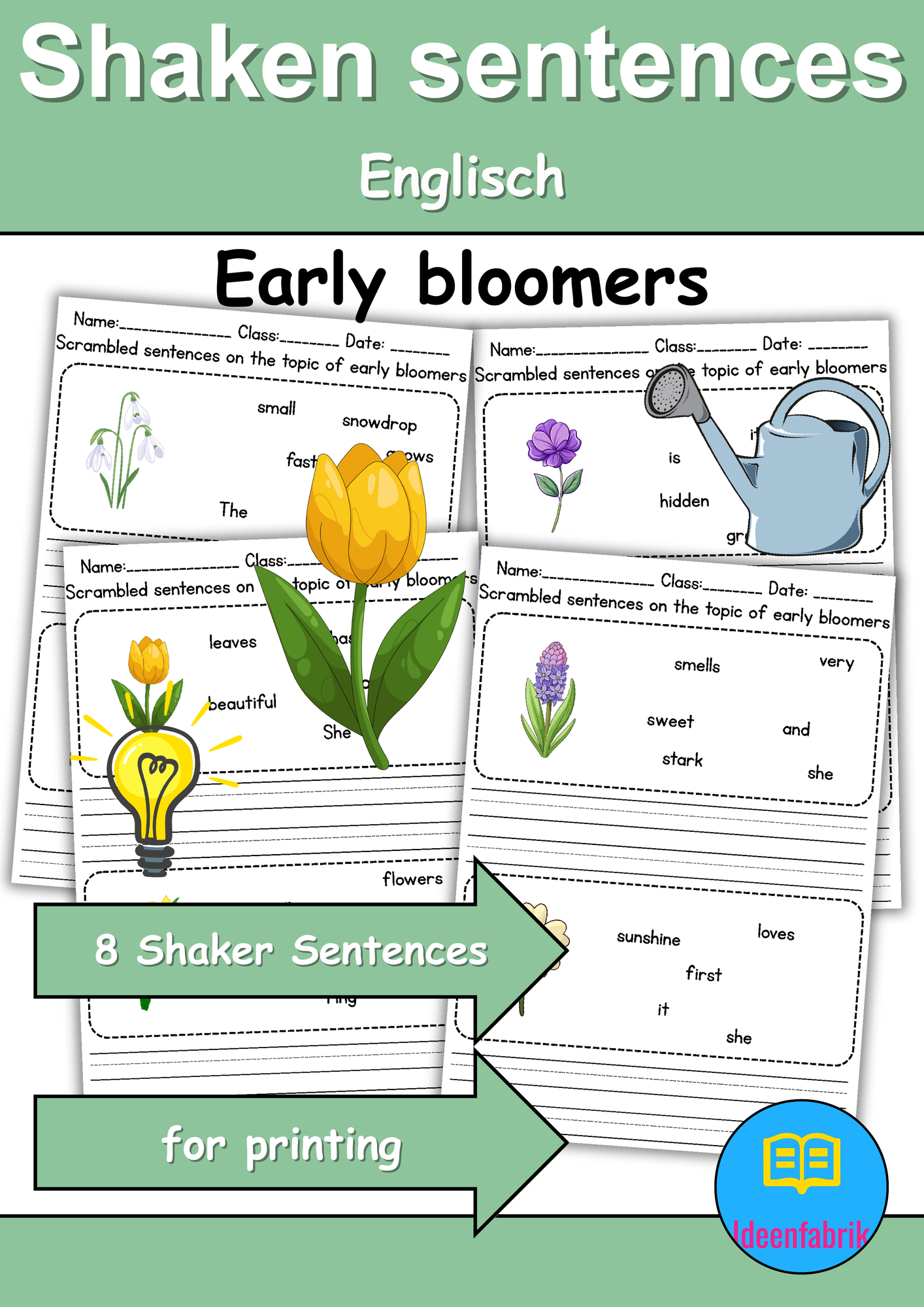 Schüttelsätze / Jumbled Sentences: Frühblüher / Early Bloomer ...