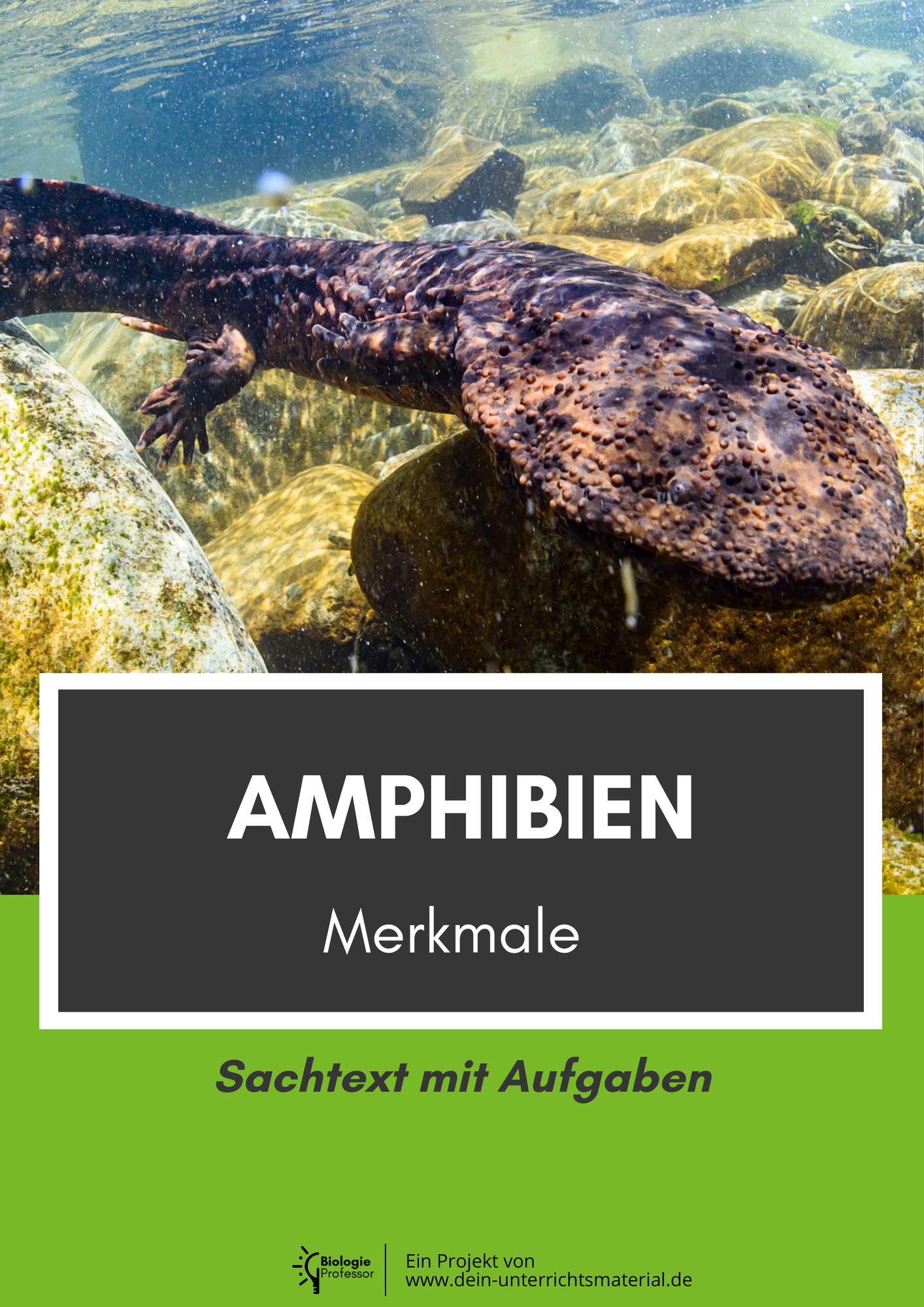 Amphibien ⎜ Merkmale - Sachtext mit Aufgaben – Unterrichtsmaterial im ...