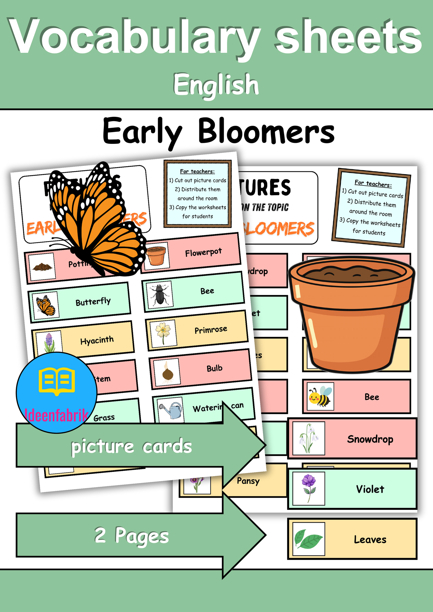 Vocabulary sheets: Frühblüher / Early Bloomer - Englische Bildkarten ...