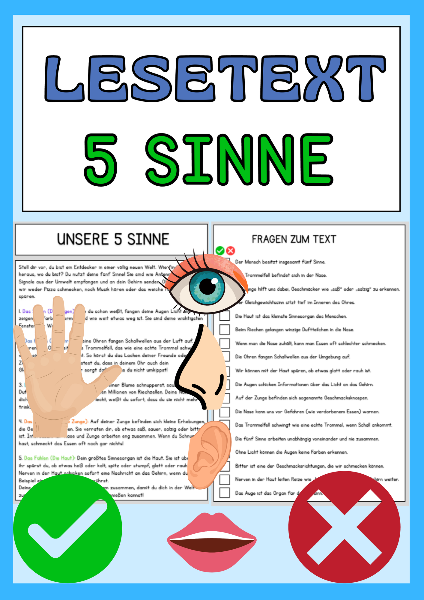 Unsere 5 Sinne - Lesetext mit Fragen – Unterrichtsmaterial in den ...