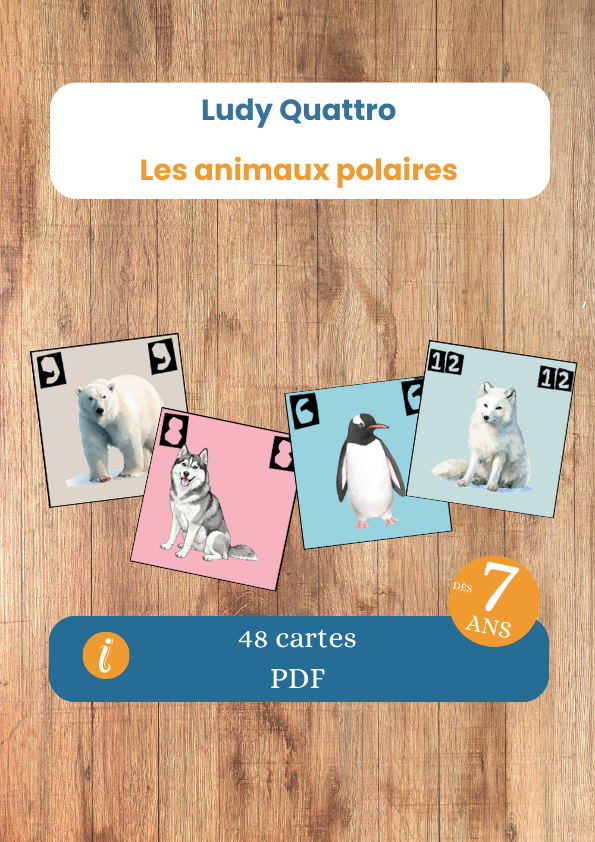 Lud’Y Quattro – Jeu de logique et de mémoire – Thème animaux polaires ...