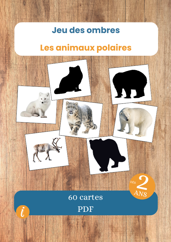 Jeu des ombres – Animaux polaires – Observation et logique - Ressource ...