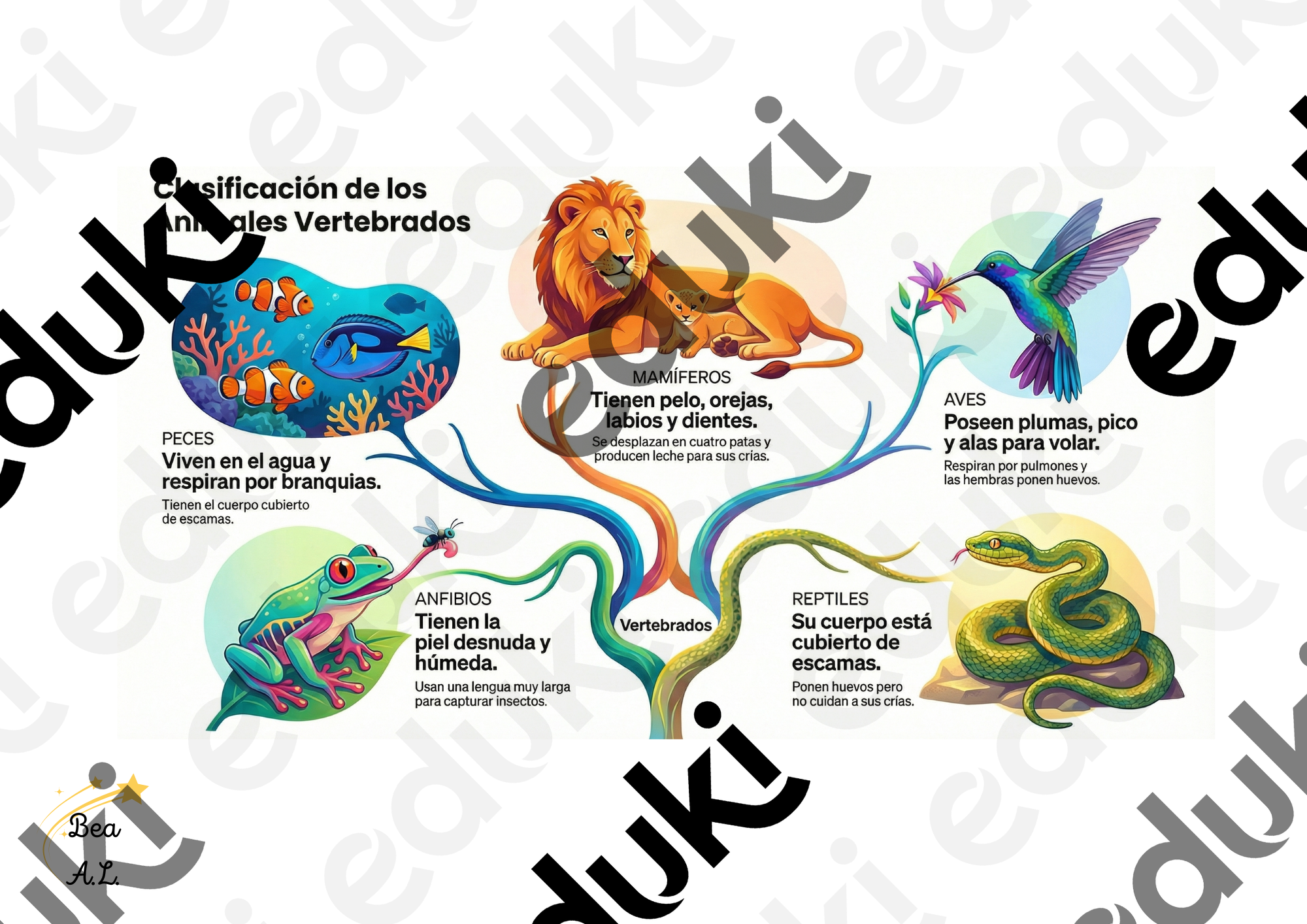 Infografía Clasificación animales vertebrados - material de la ...