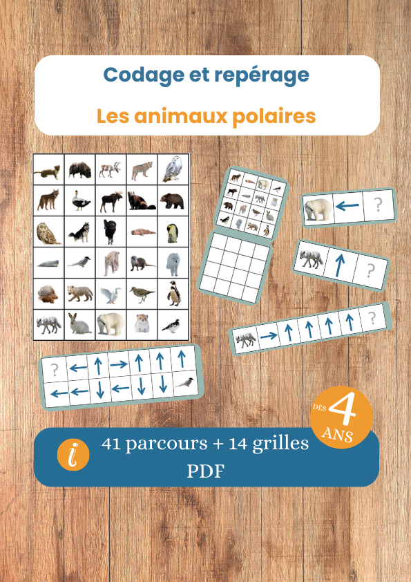 Codage et repérage – Animaux polaires – Logique et orientation ...