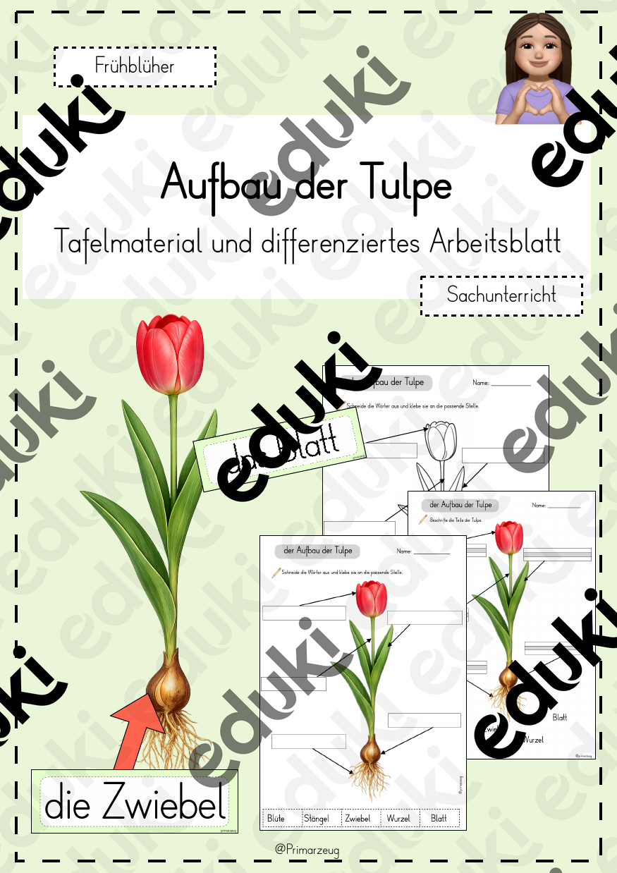 Frühblüher: die Tulpe Tafelmaterial/Arbeitsblatt – Unterrichtsmaterial ...