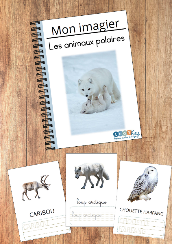 Cahier d'écriture les animaux polaires - 2 typographies - Ressource ...