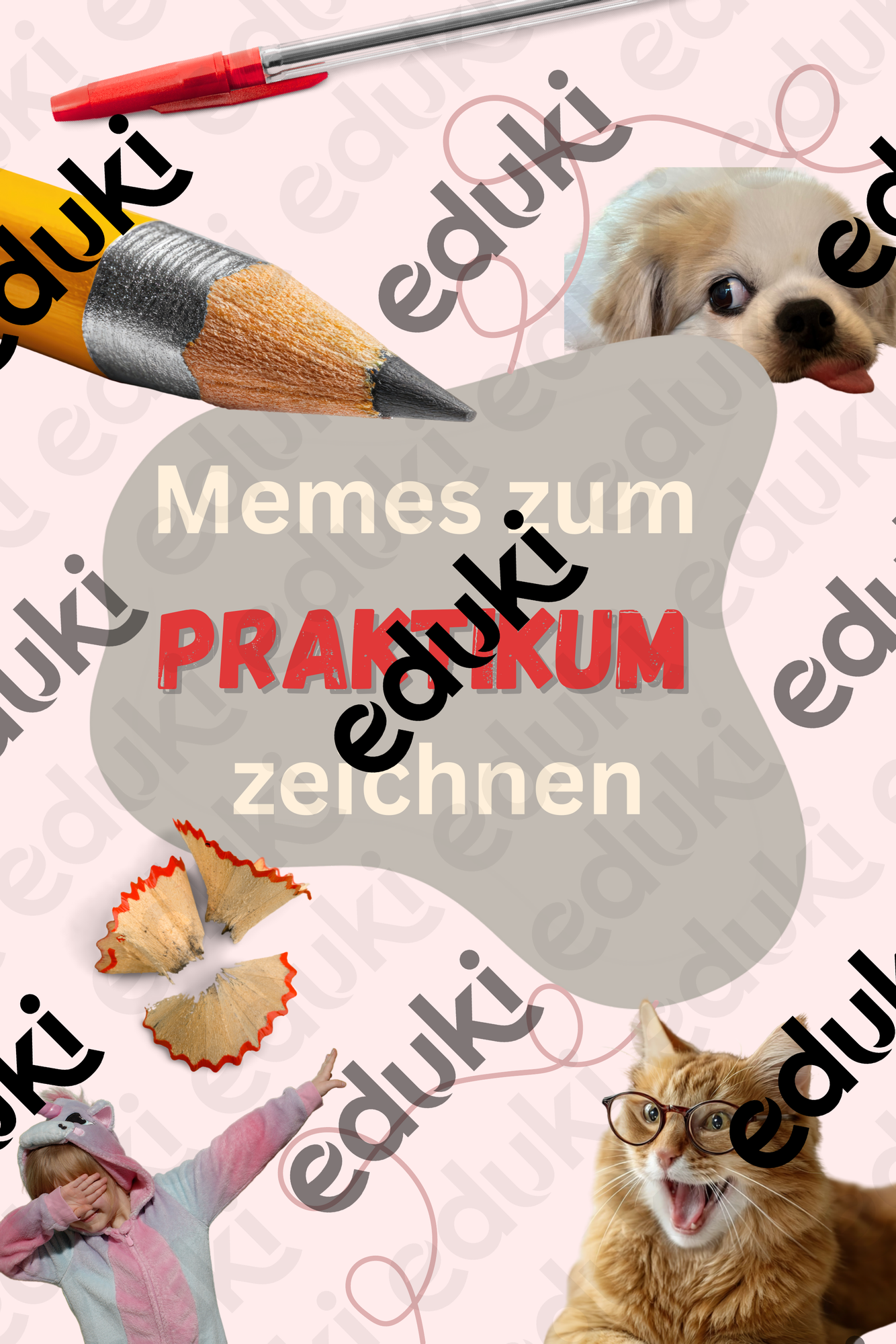 Meme zum Praktikum gestalten – Unterrichtsmaterial im Fach ...