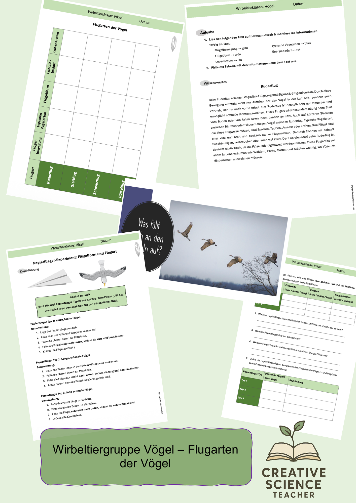Wirbeltiergruppe Vögel – Flugarten der Vögel – Unterrichtsmaterial im ...