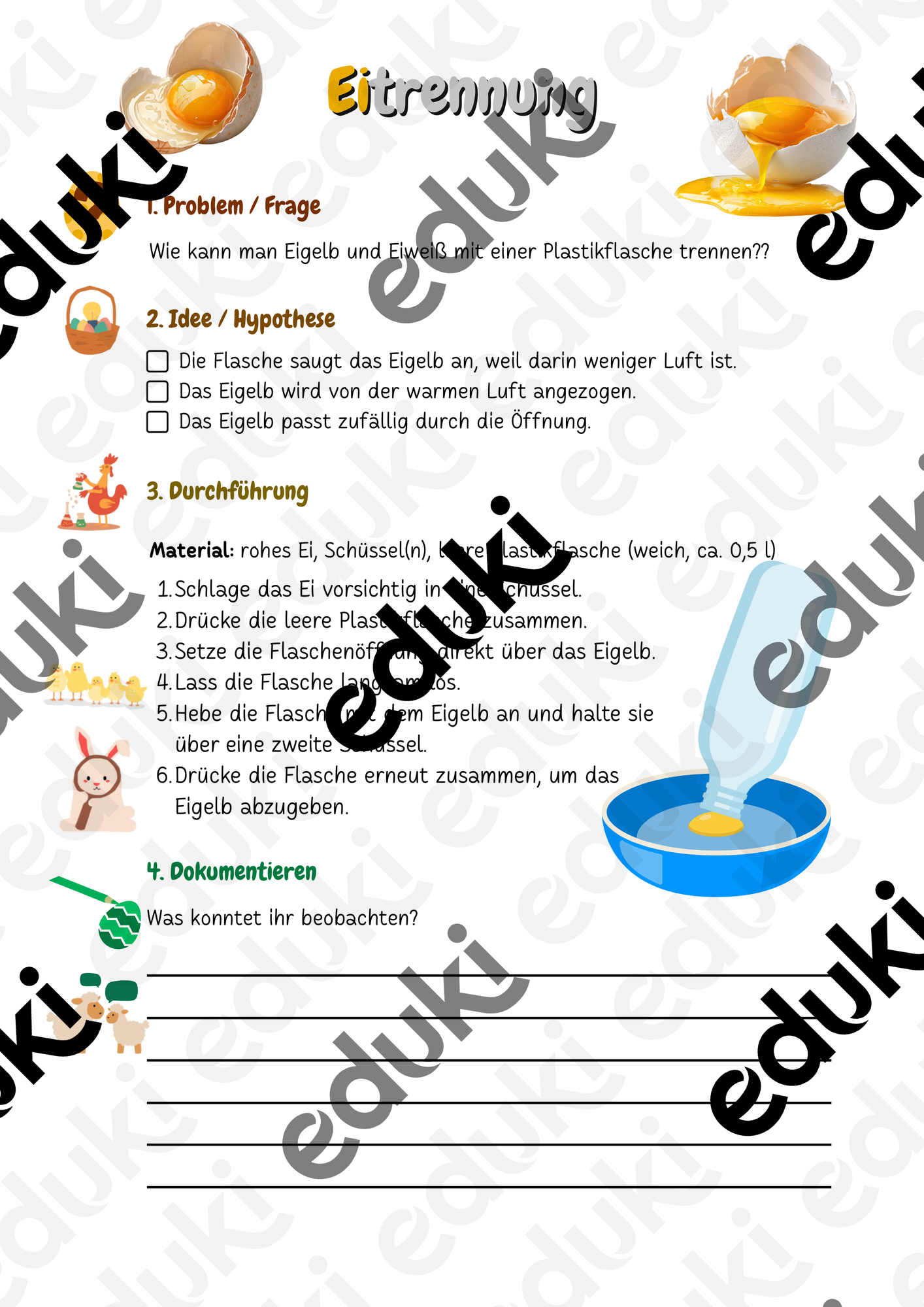 Experimente zu Ostern - Eitrennung (Klasse 5-6) – Unterrichtsmaterial ...