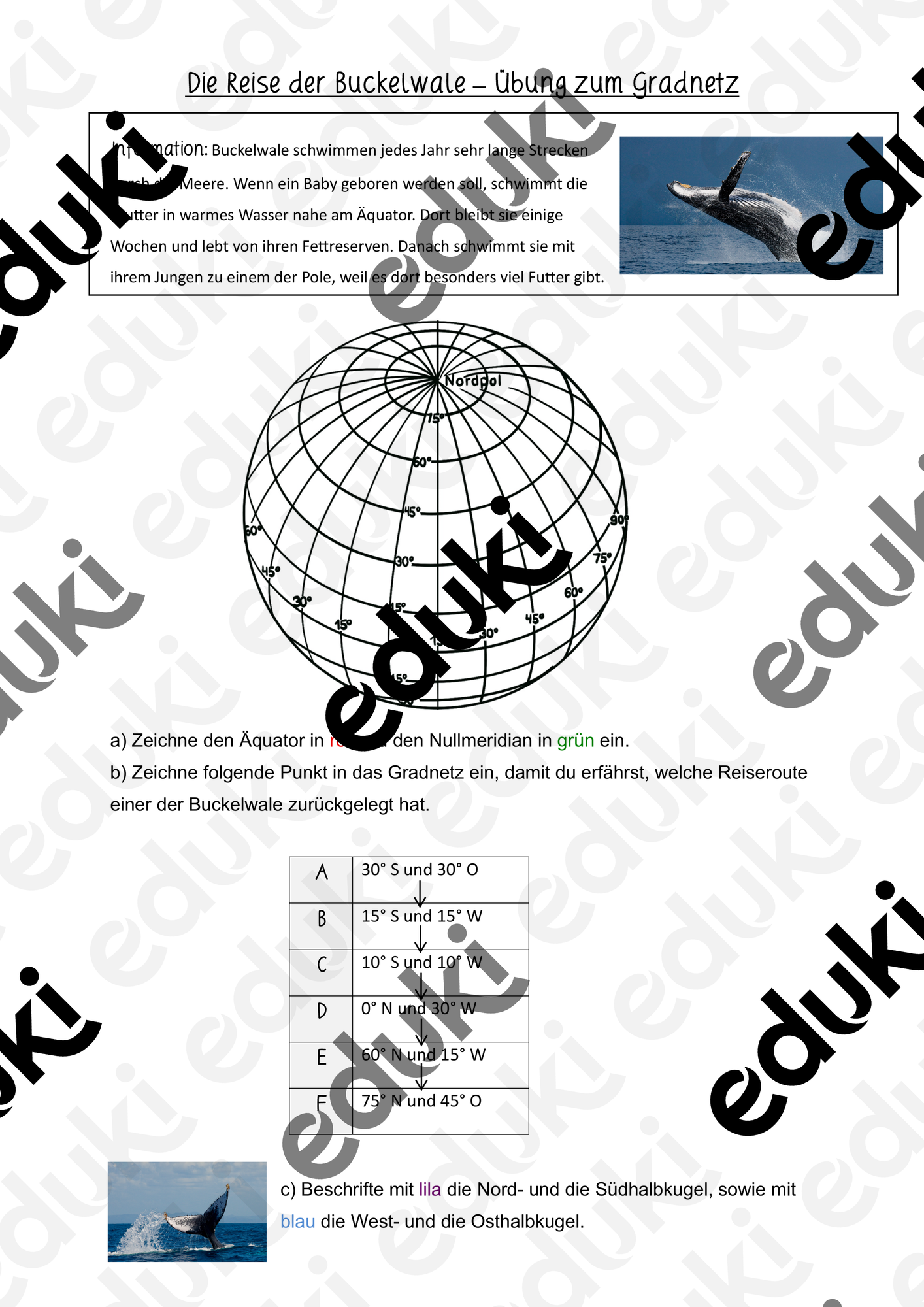 Übung zum Gradnetz – Unterrichtsmaterial im Fach Erdkunde