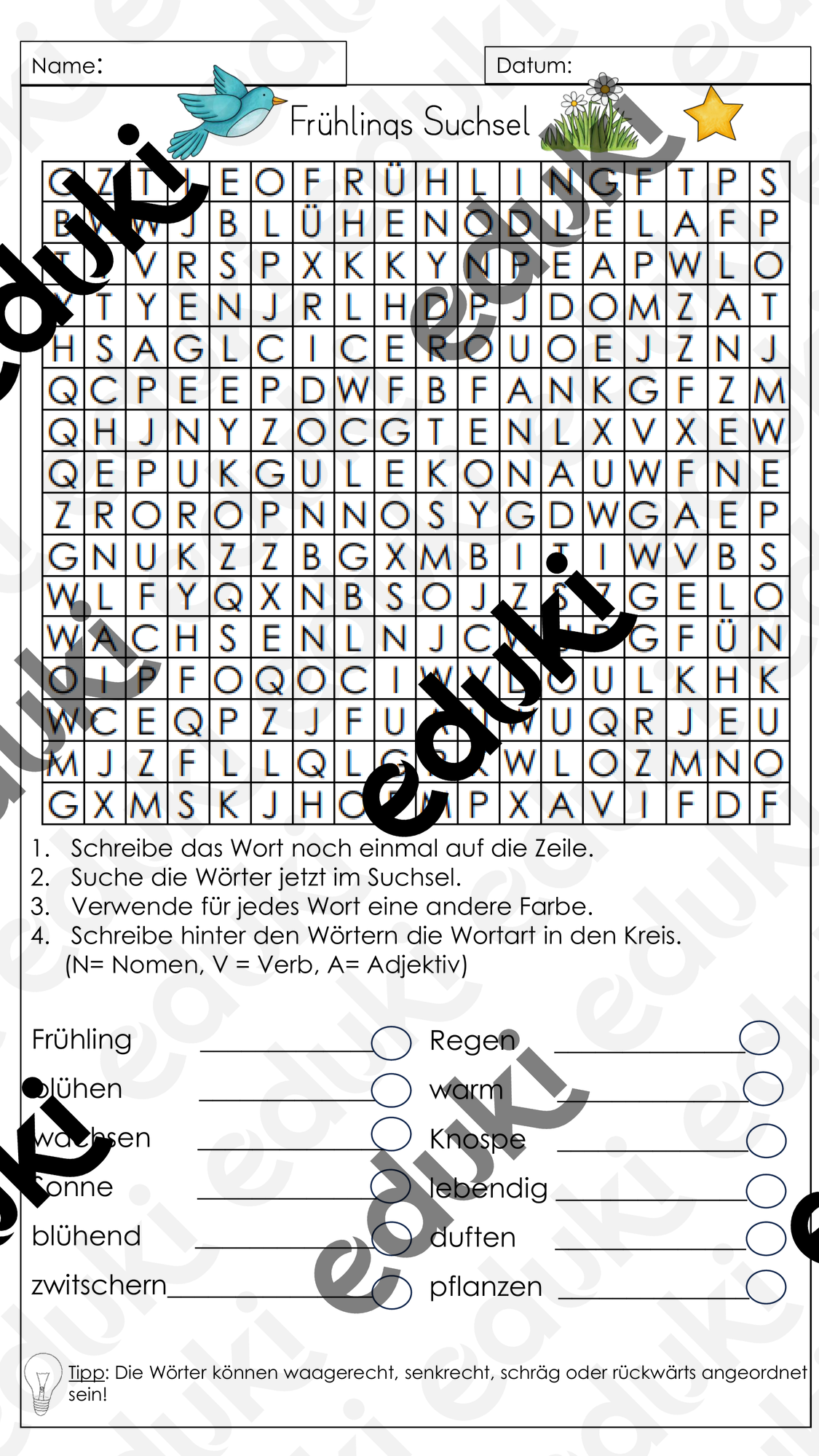 Suchsel Frühling – Unterrichtsmaterial im Fach Deutsch