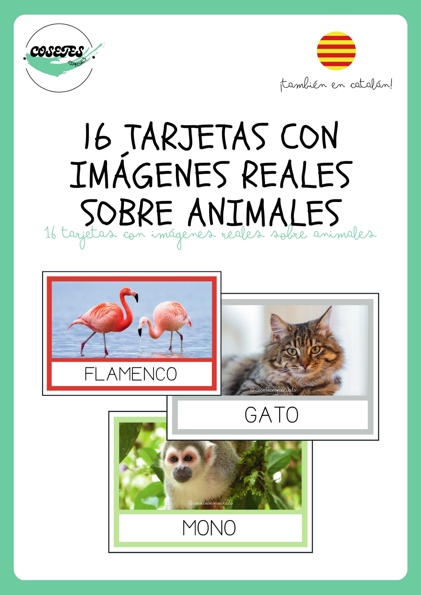16 TARJETAS CON IMÁGENES REALES SOBRE ANIMALES - material didáctico de ...