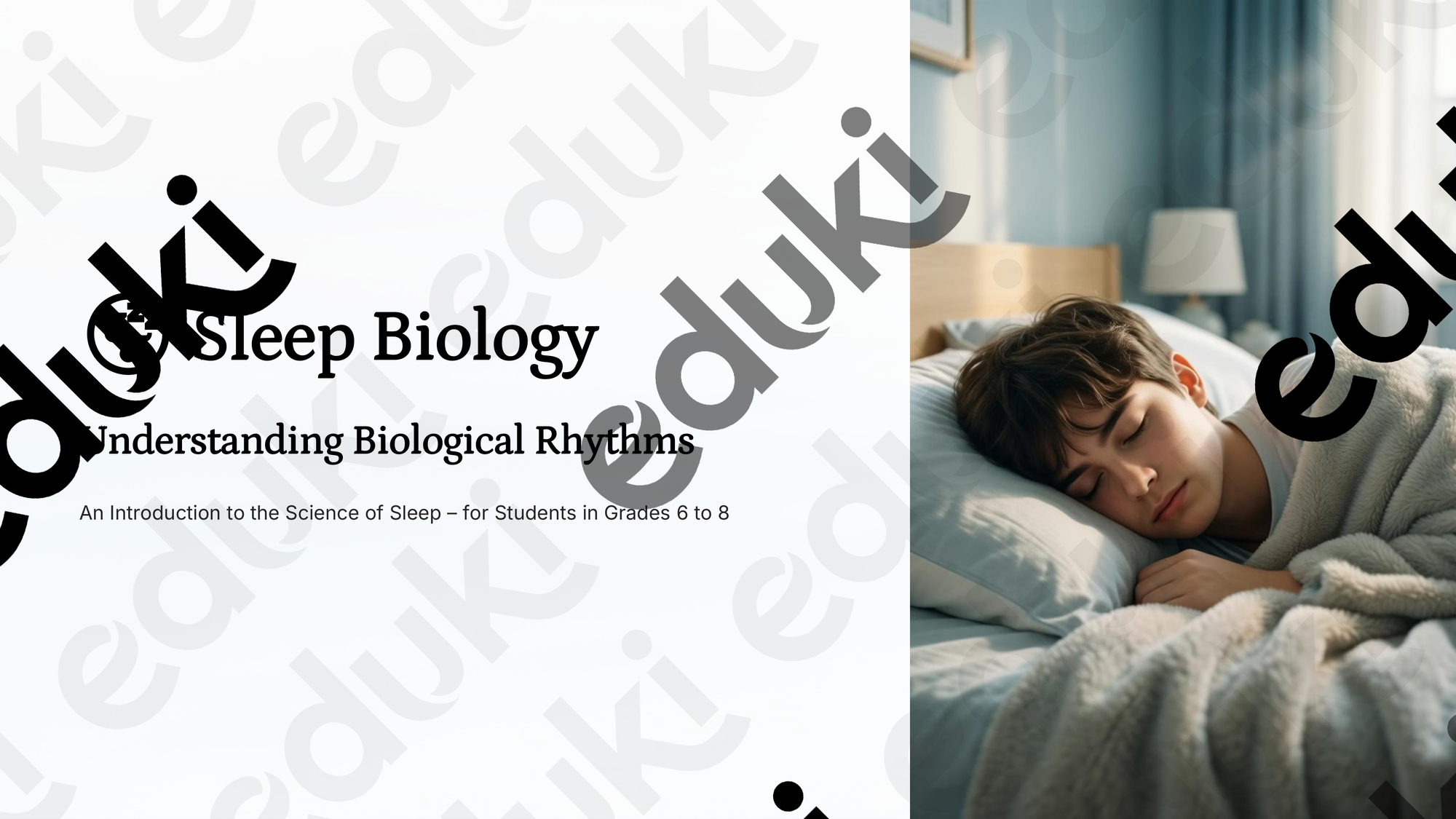 Sleep Biology Presentation – Circadian Rhythm & REM ...