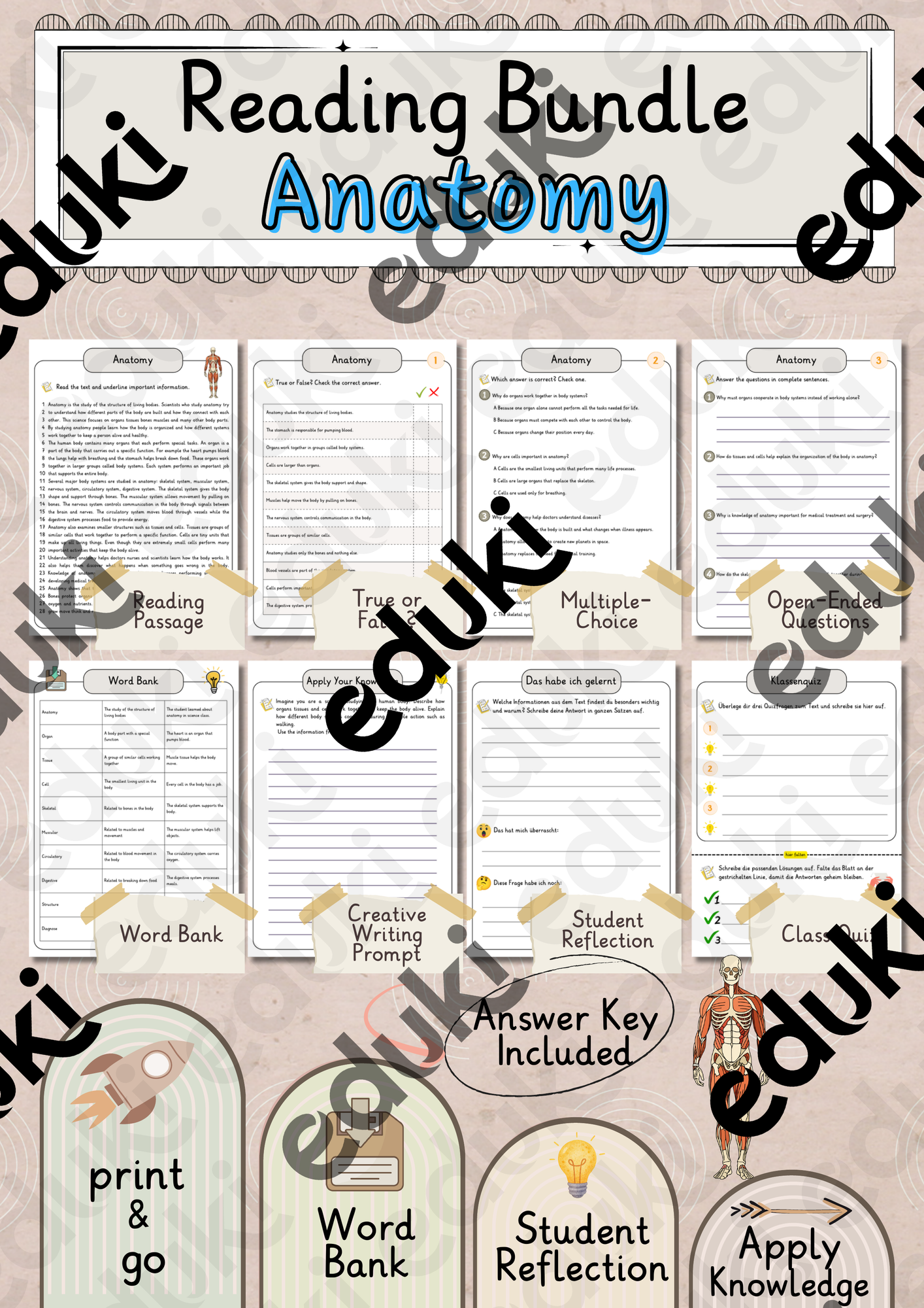 Anatomy Premium Reading Comprehension Activities Bundle ...