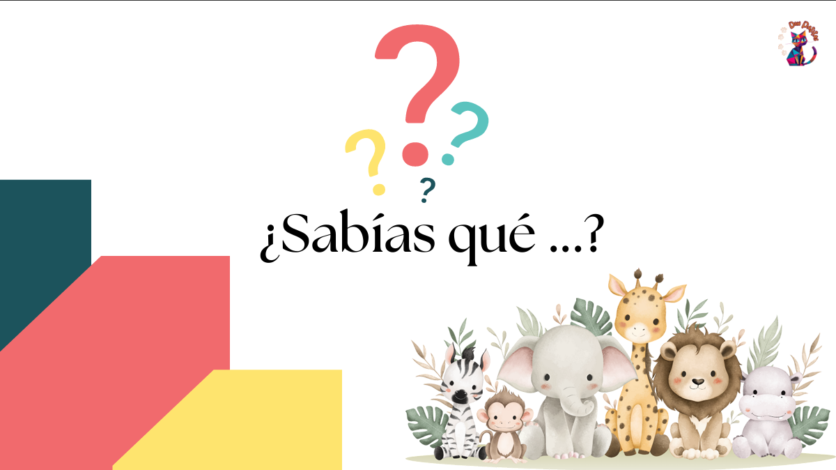 ¿Sabías qué ...? (Flashcards de los animales del alfabeto) - material ...