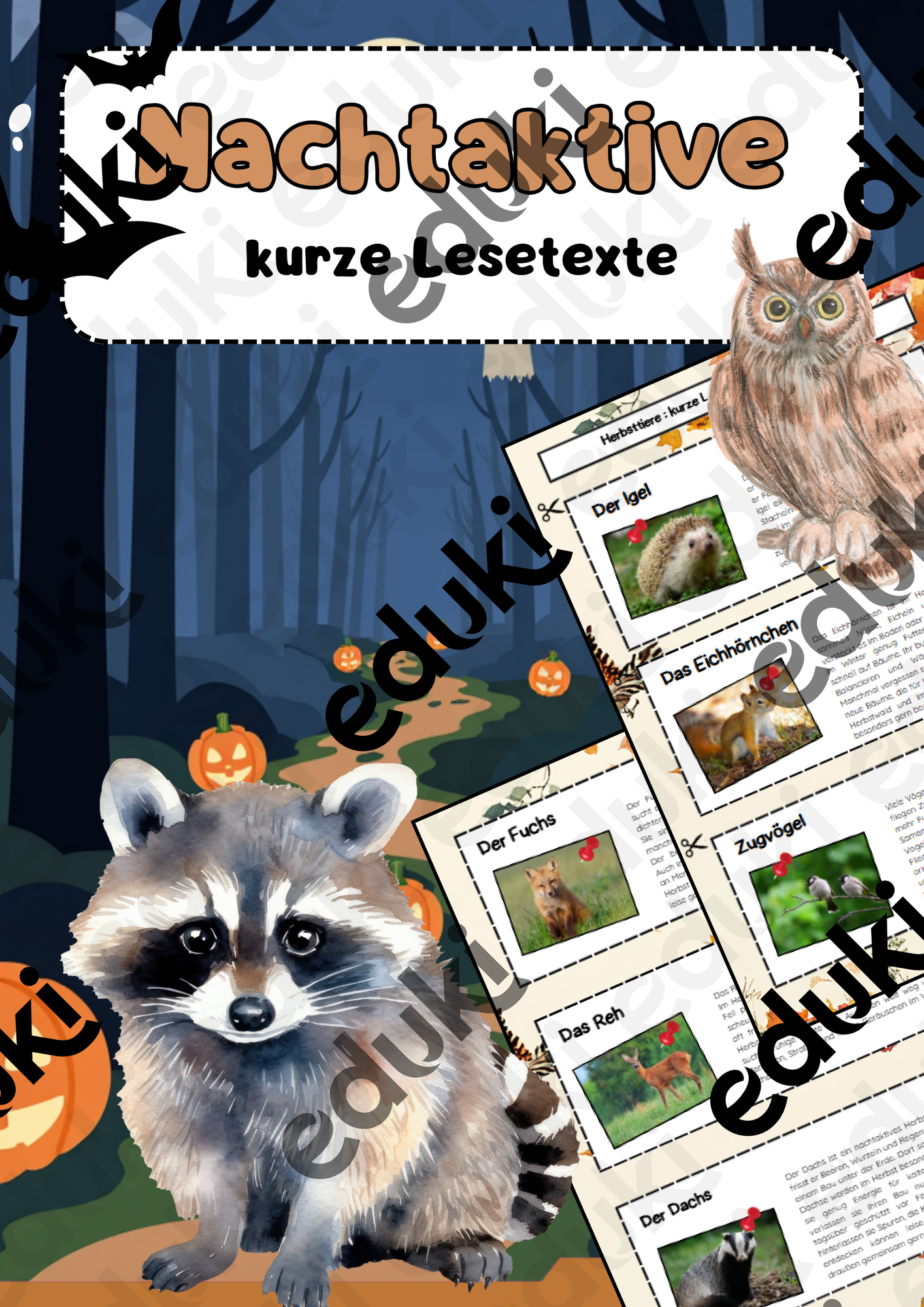 Nachtaktive Tiere Grundschule: Lesetexte - Eule, Fledermaus, Igel ...