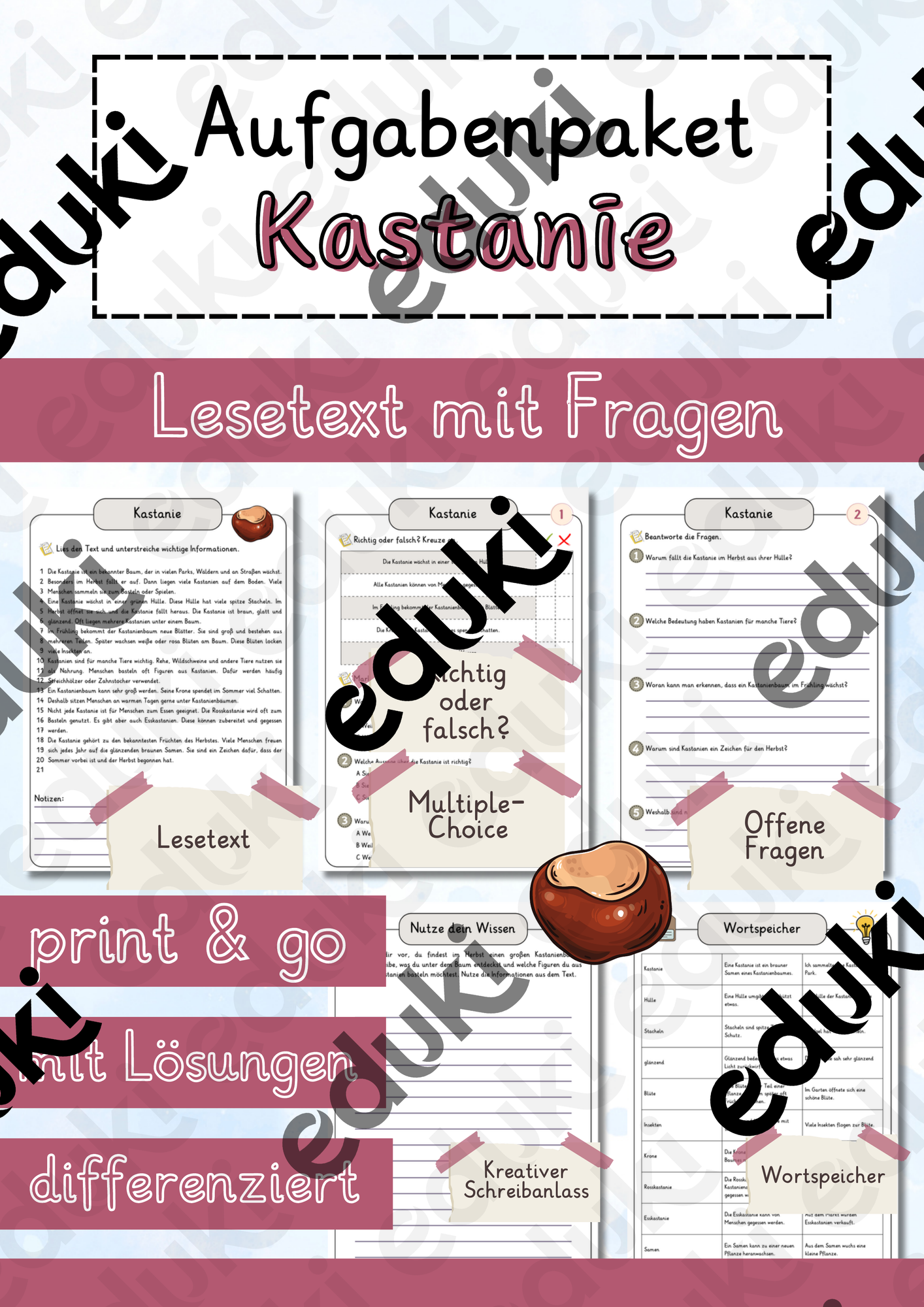 Kastanie Lesetext einfach verständlich mit Aufgaben + Lösungen und ...