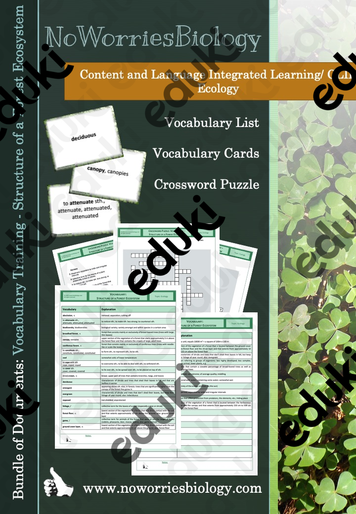 CLIL - Vocabulary - Structure of a Forest Ecosystem ...