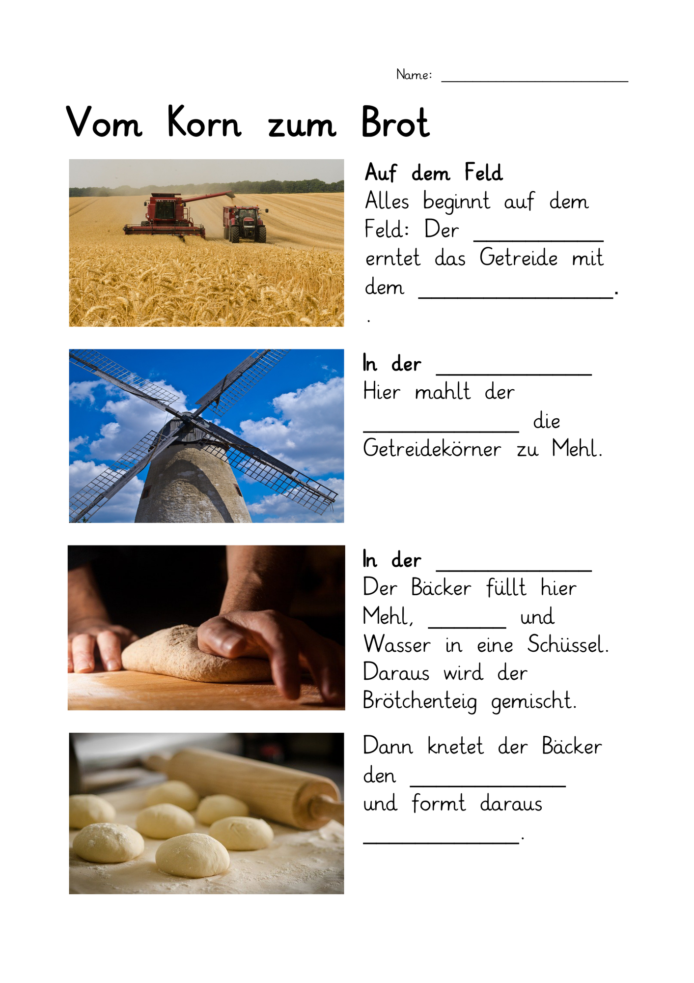 Vom Korn Zum Brot Kindergarten Arbeitsblatt