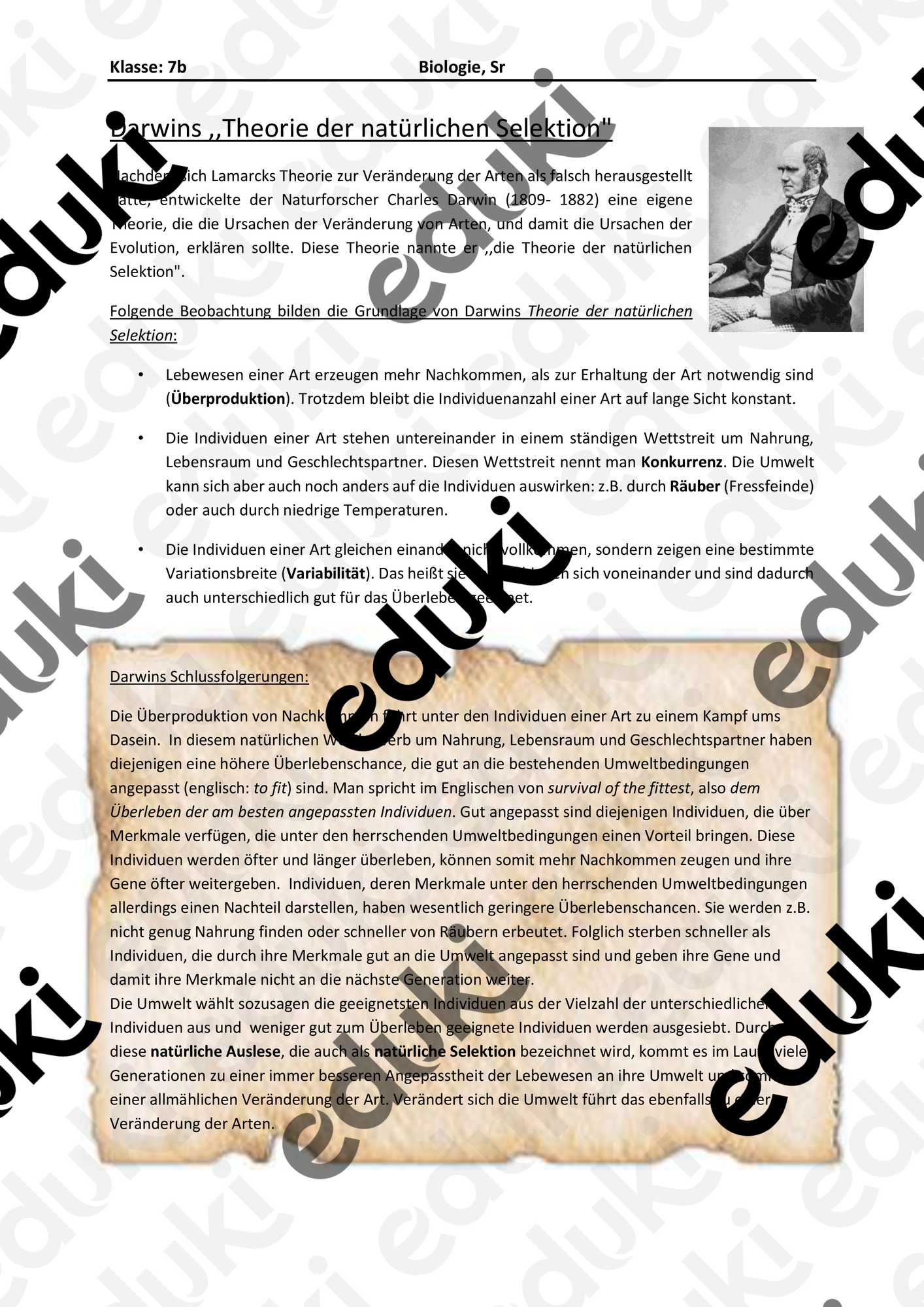 Darwins Evolutionstheorie – Unterrichtsmaterial im Fach Biologie